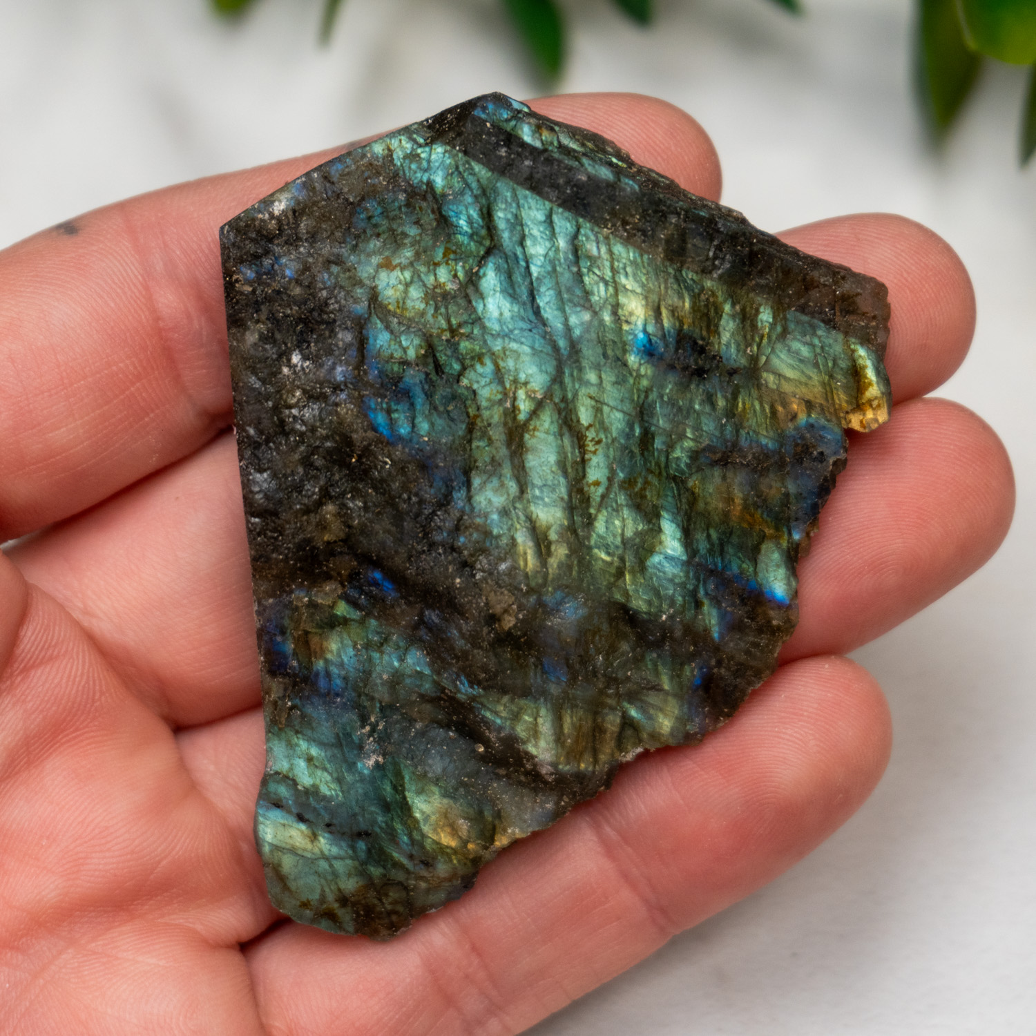 Labradorite Half Polished #1 - The Crystal Council
