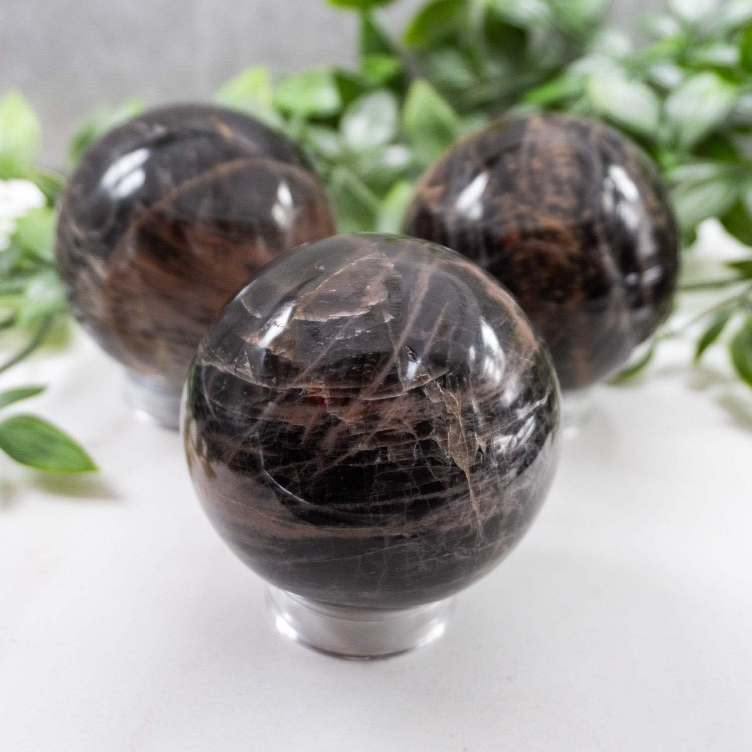 Black Moonstone Medium Sphere - The Crystal Council