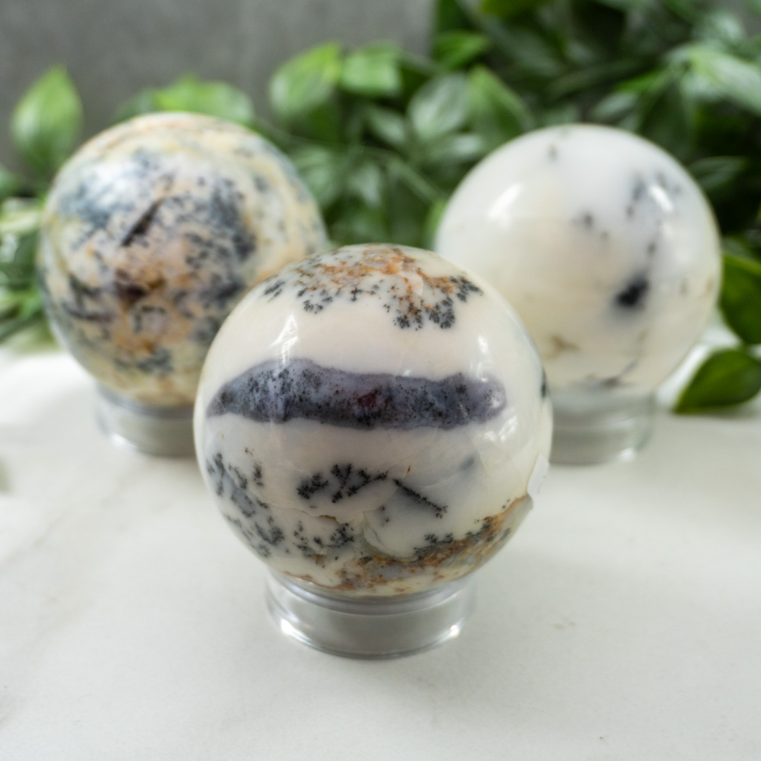 Dendritic Agate Sphere Medium - The Crystal Council