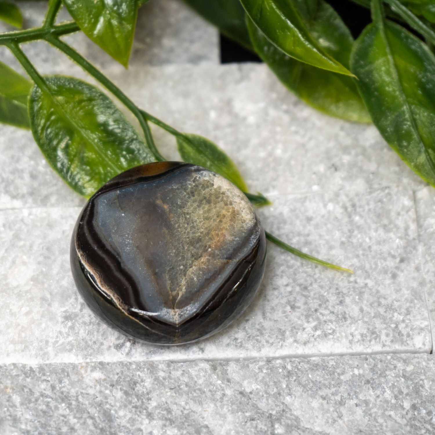 Black Agate Polished #6 - The Crystal Council