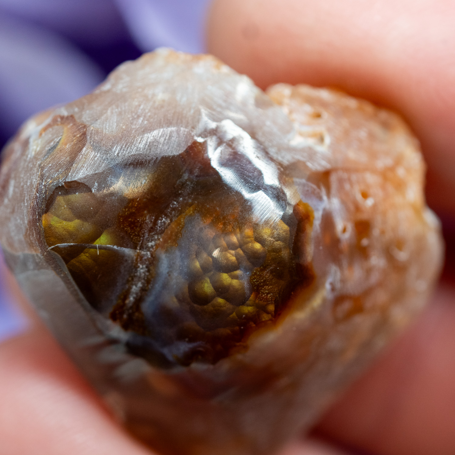 Fire Agate #7 - The Crystal Council