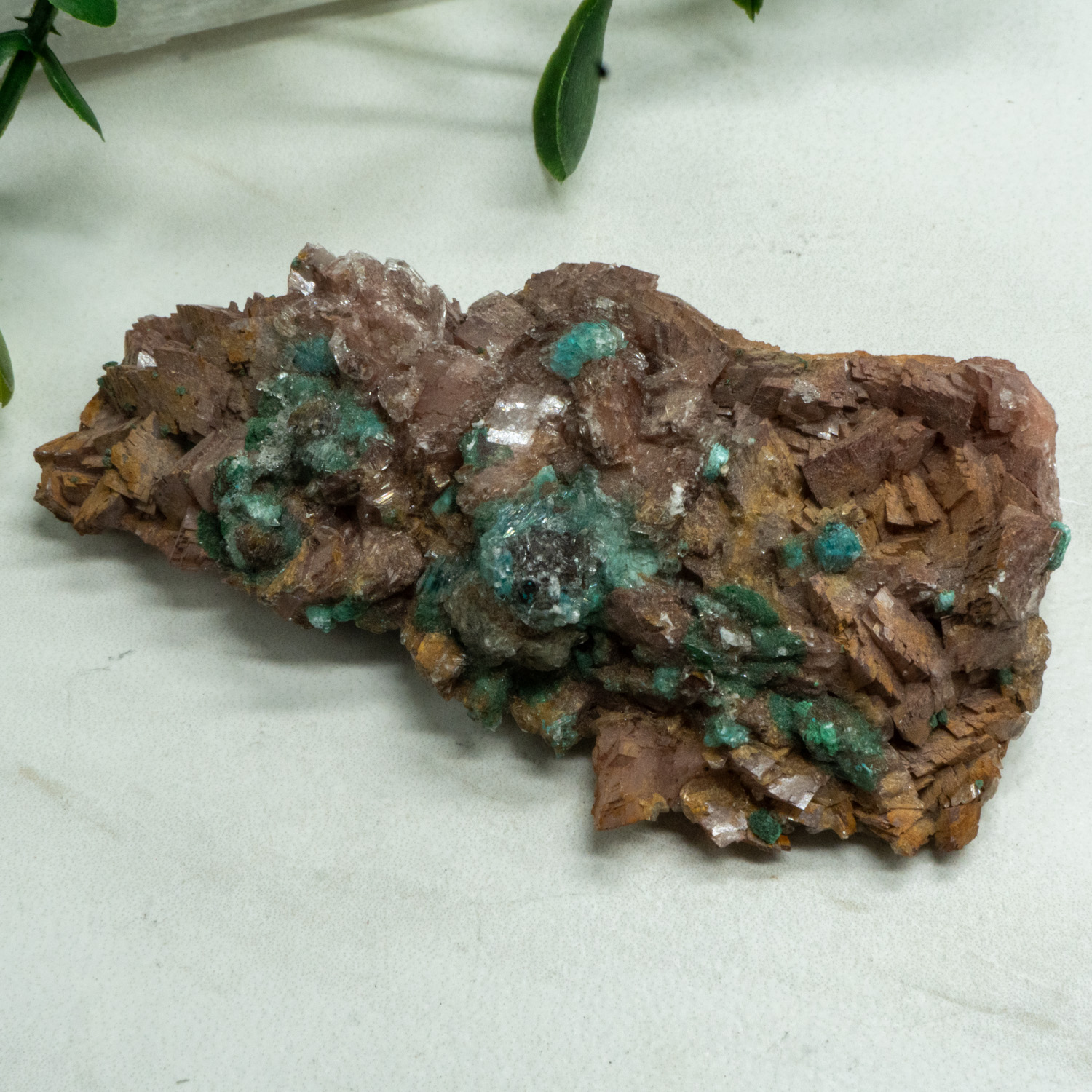 Rosasite #1 - The Crystal Council