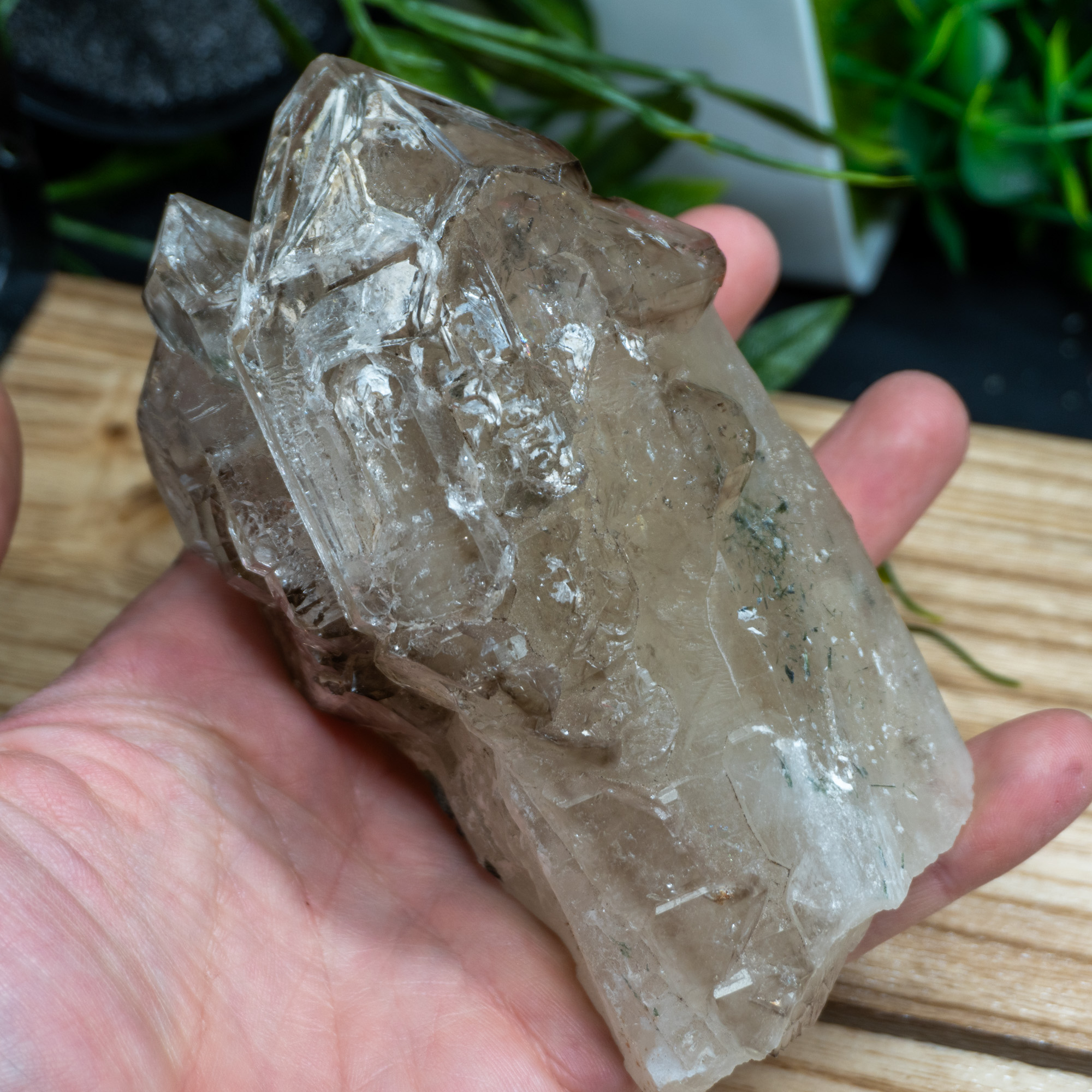 Elestial Smoky Quartz with Tourmaline #1 - The Crystal Council