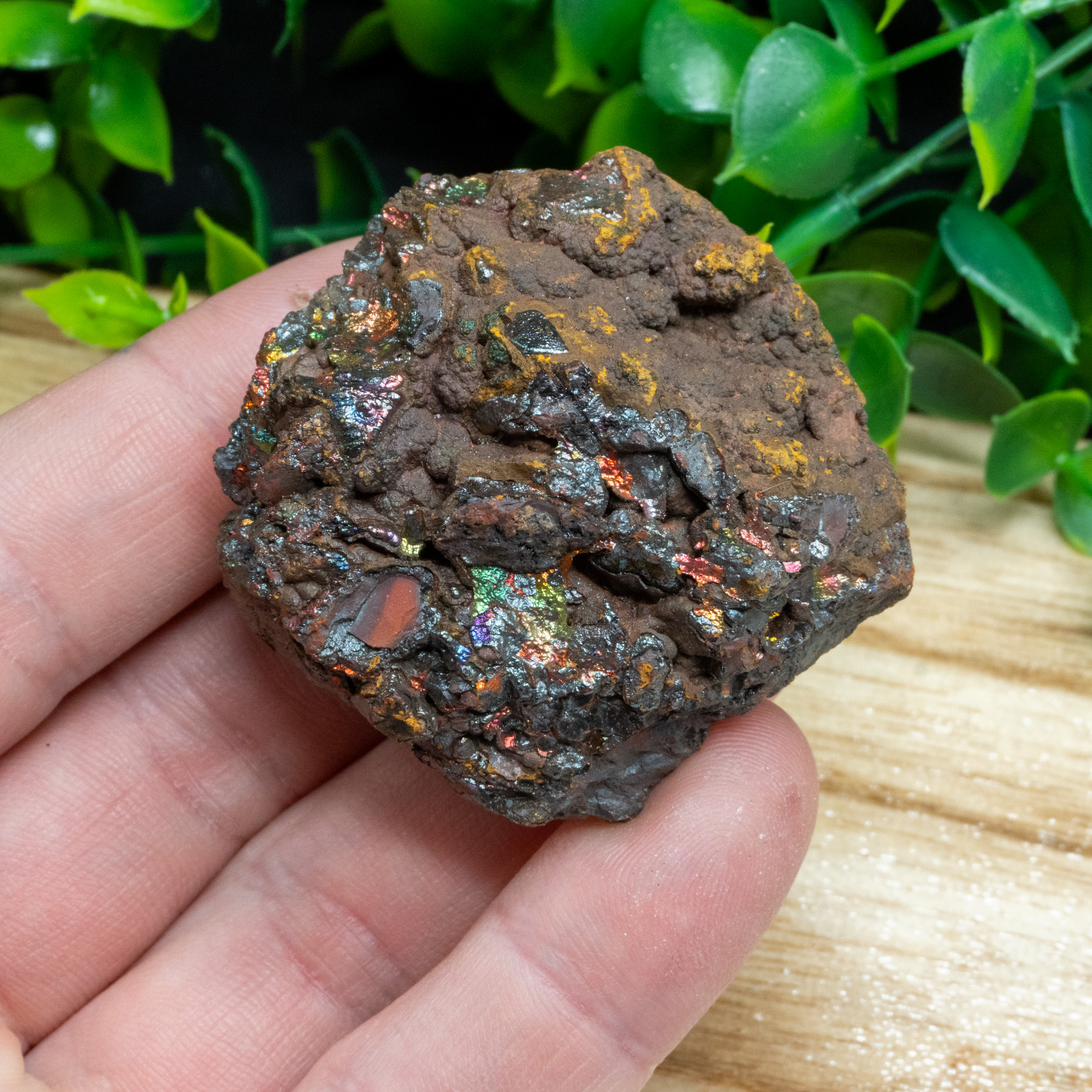 Iridescent Goethite #1 - The Crystal Council