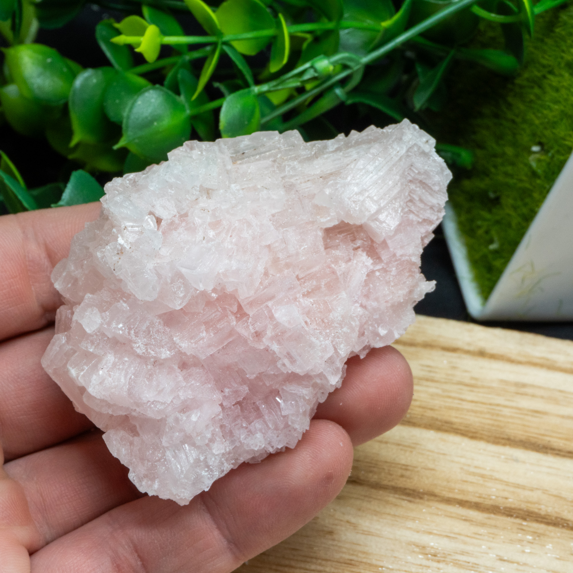 Pink Halite #5 - The Crystal Council