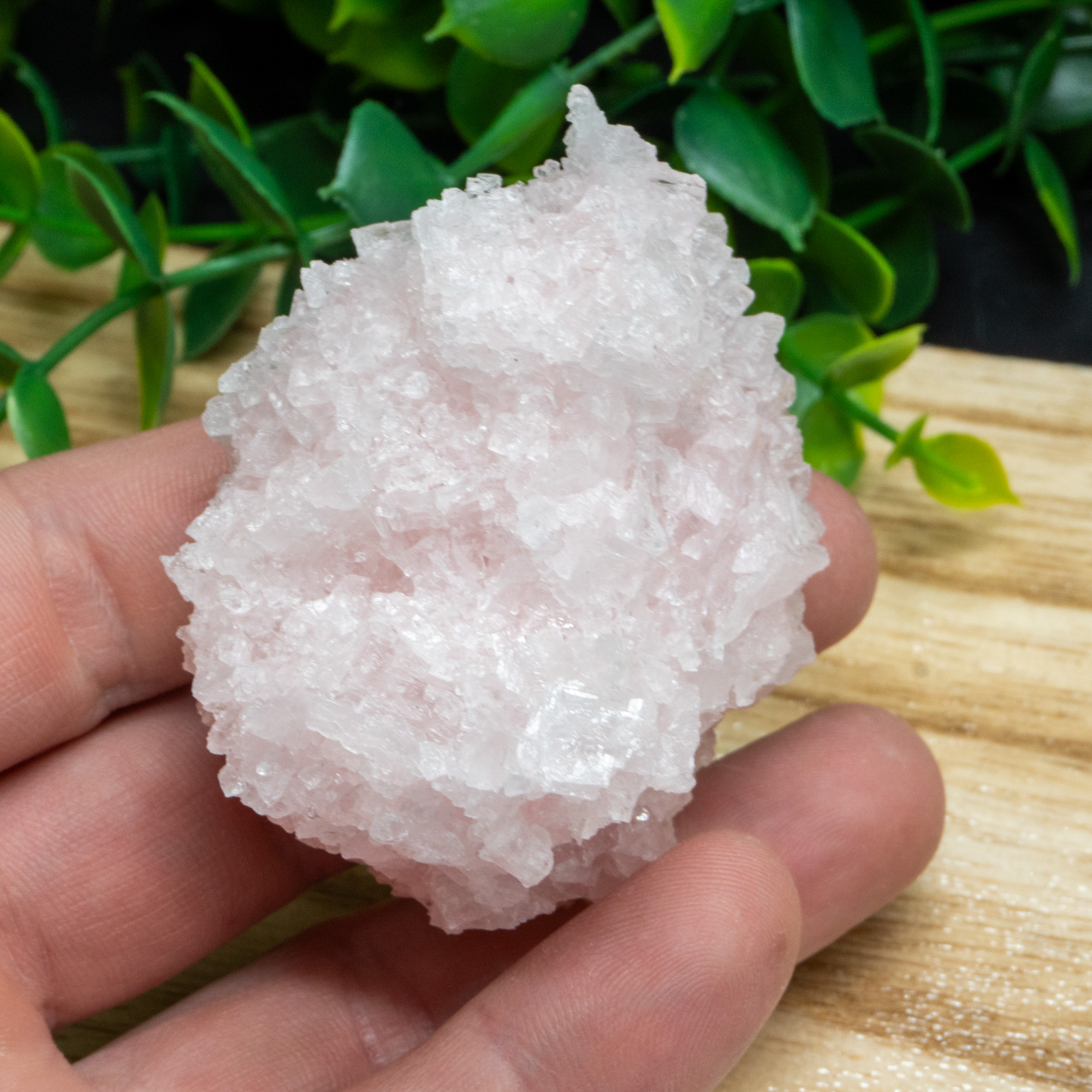 Pink Halite #4 - The Crystal Council