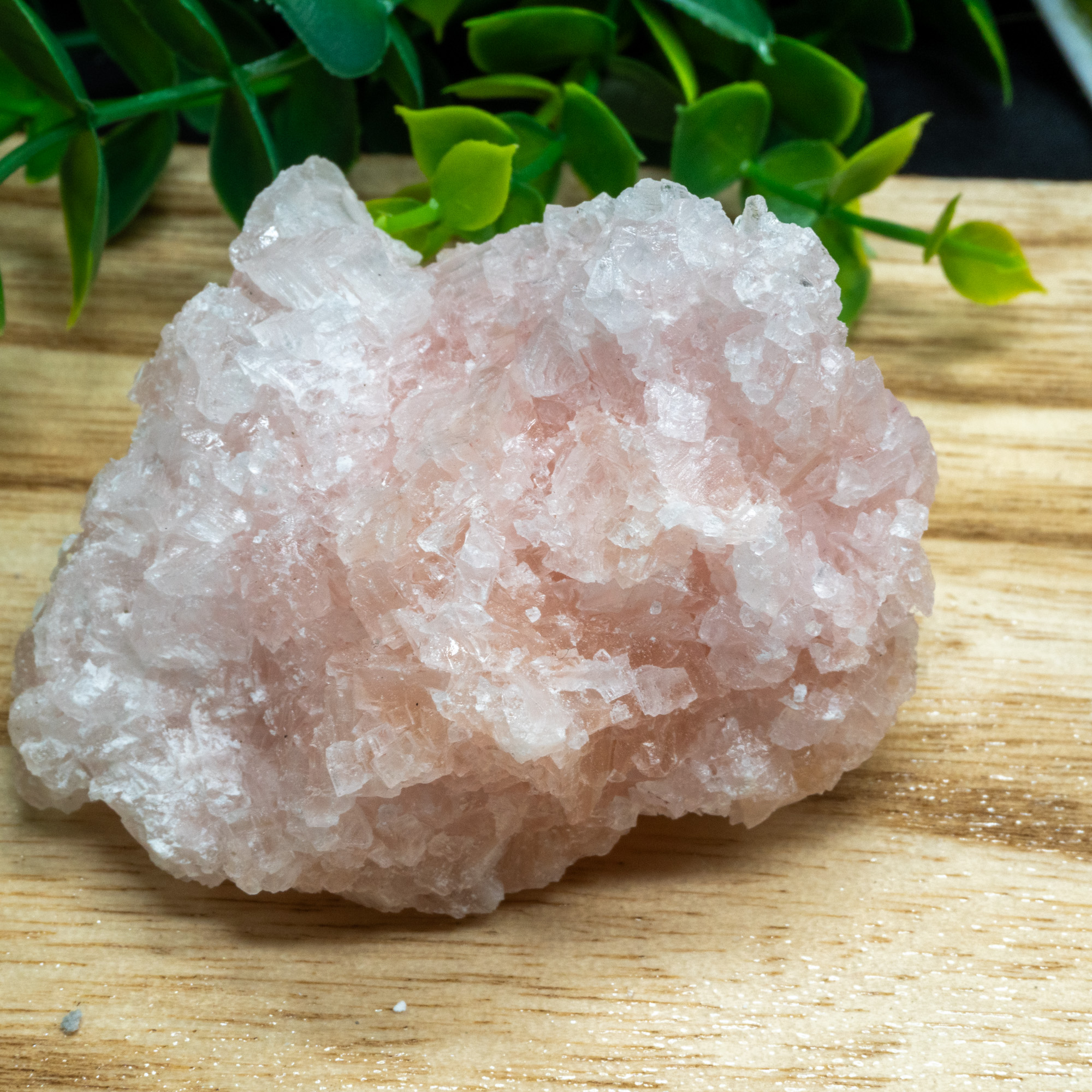 Pink Halite #2 - The Crystal Council