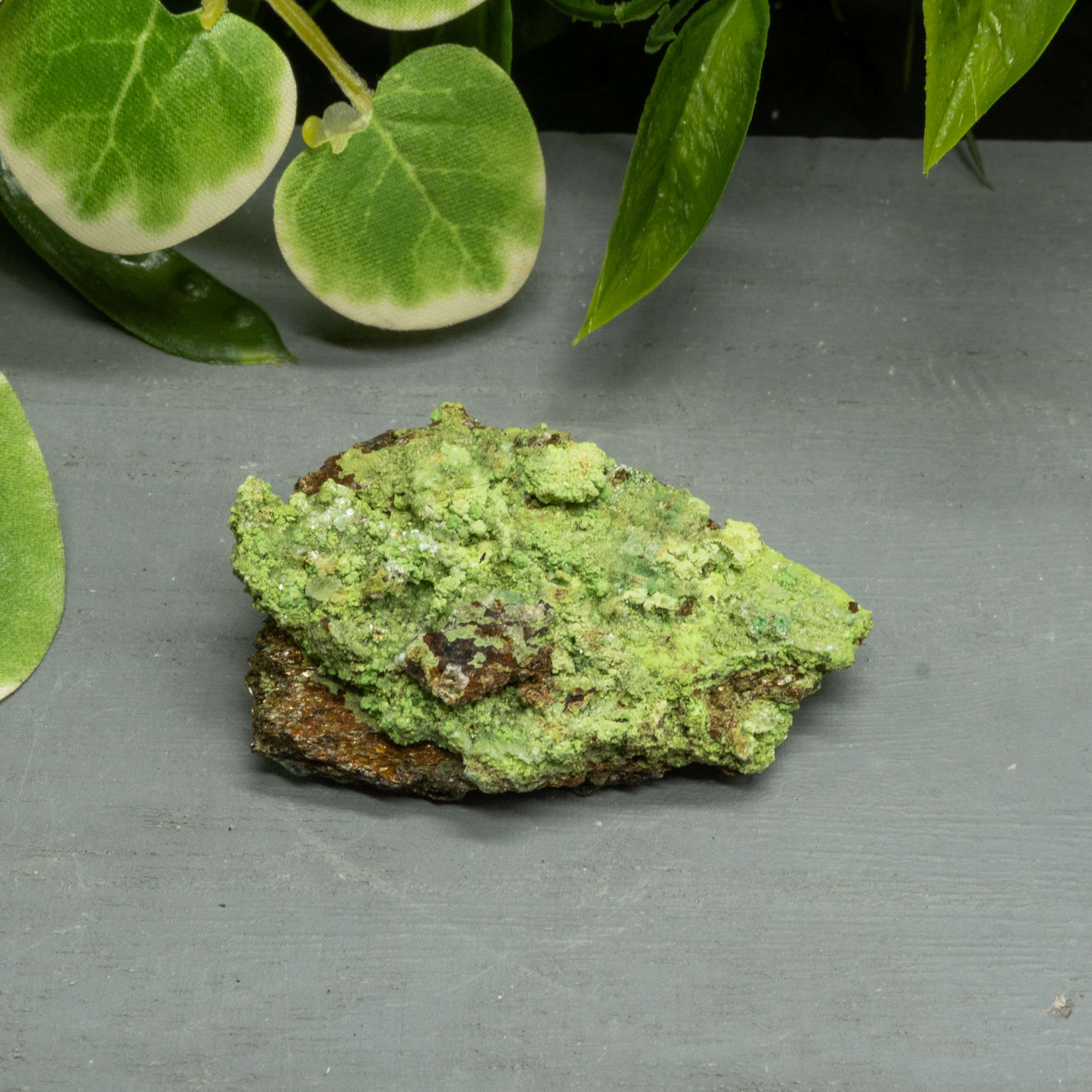 Gaspeite #1 - The Crystal Council