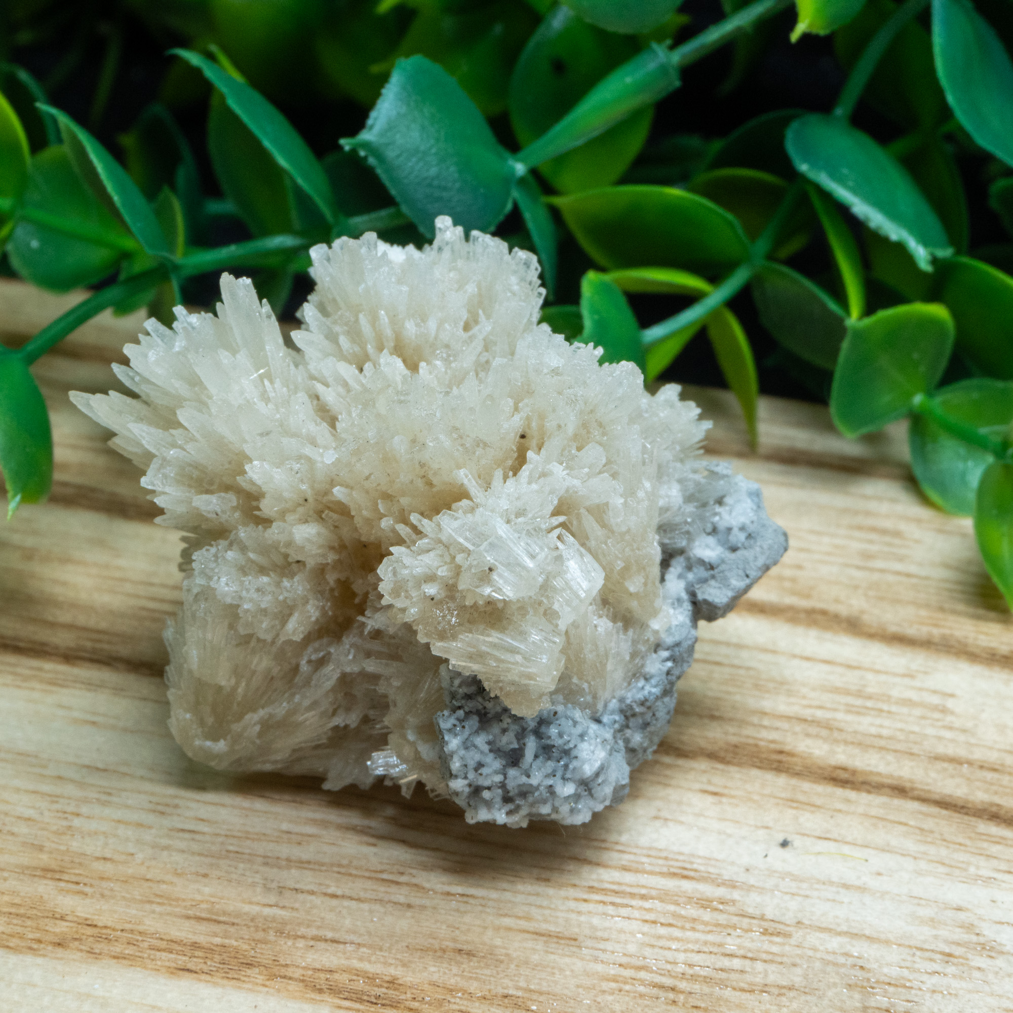 Strontianite #1 - The Crystal Council