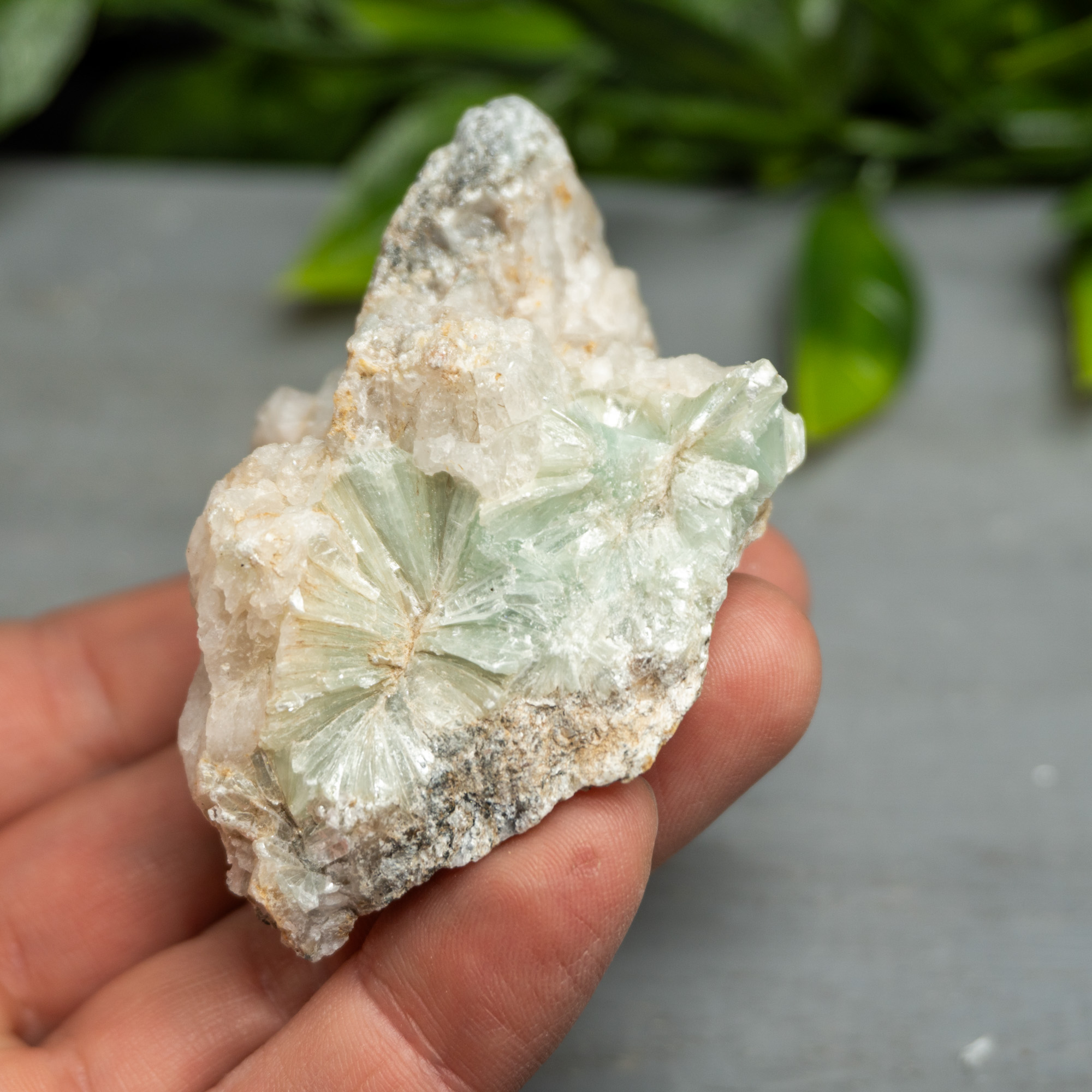 Pyrophyllite #1 - The Crystal Council