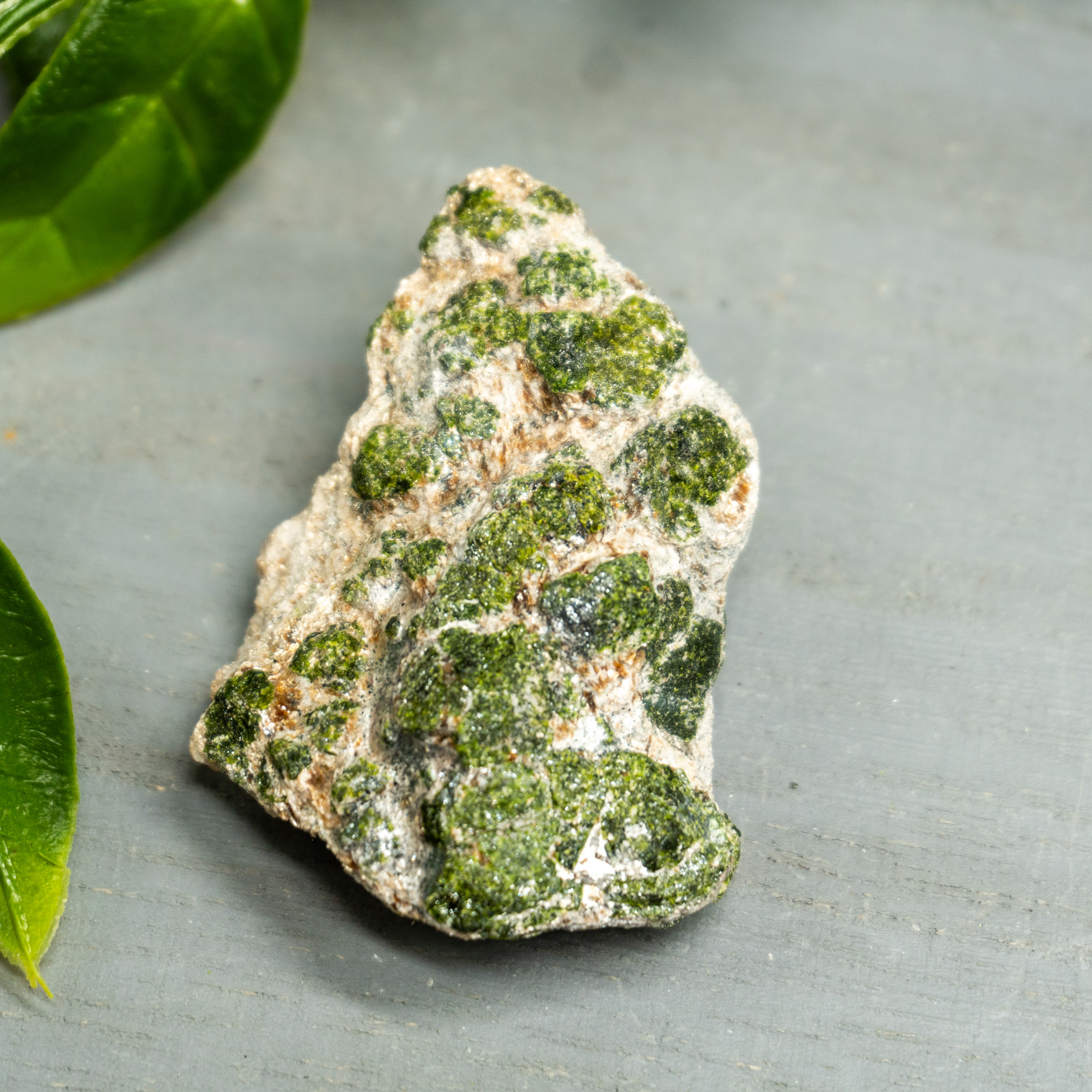 Viridine Raw #1 - The Crystal Council