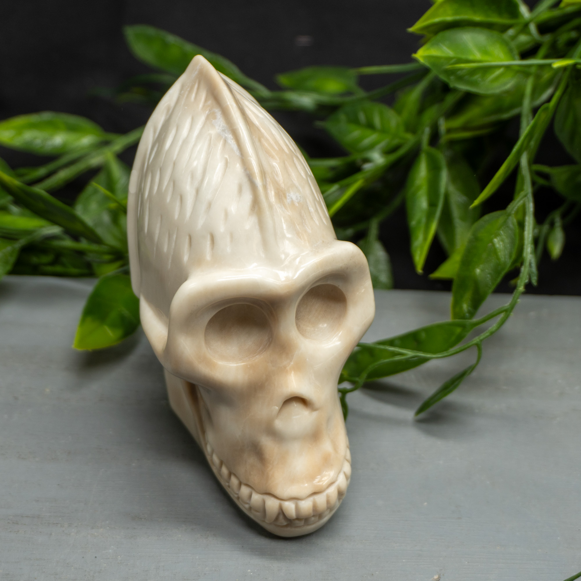 White Jade Monkey Skull - The Crystal Council