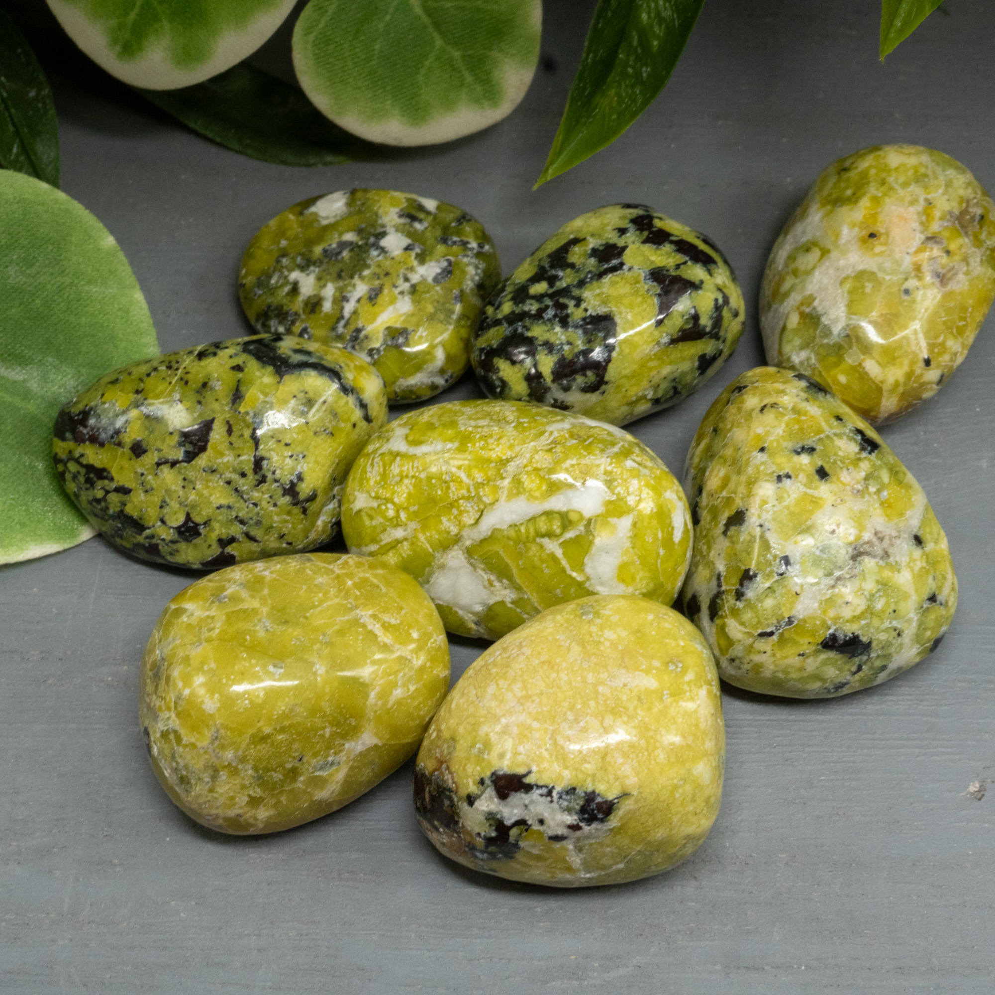 Lizardite Tumbled - The Crystal Council