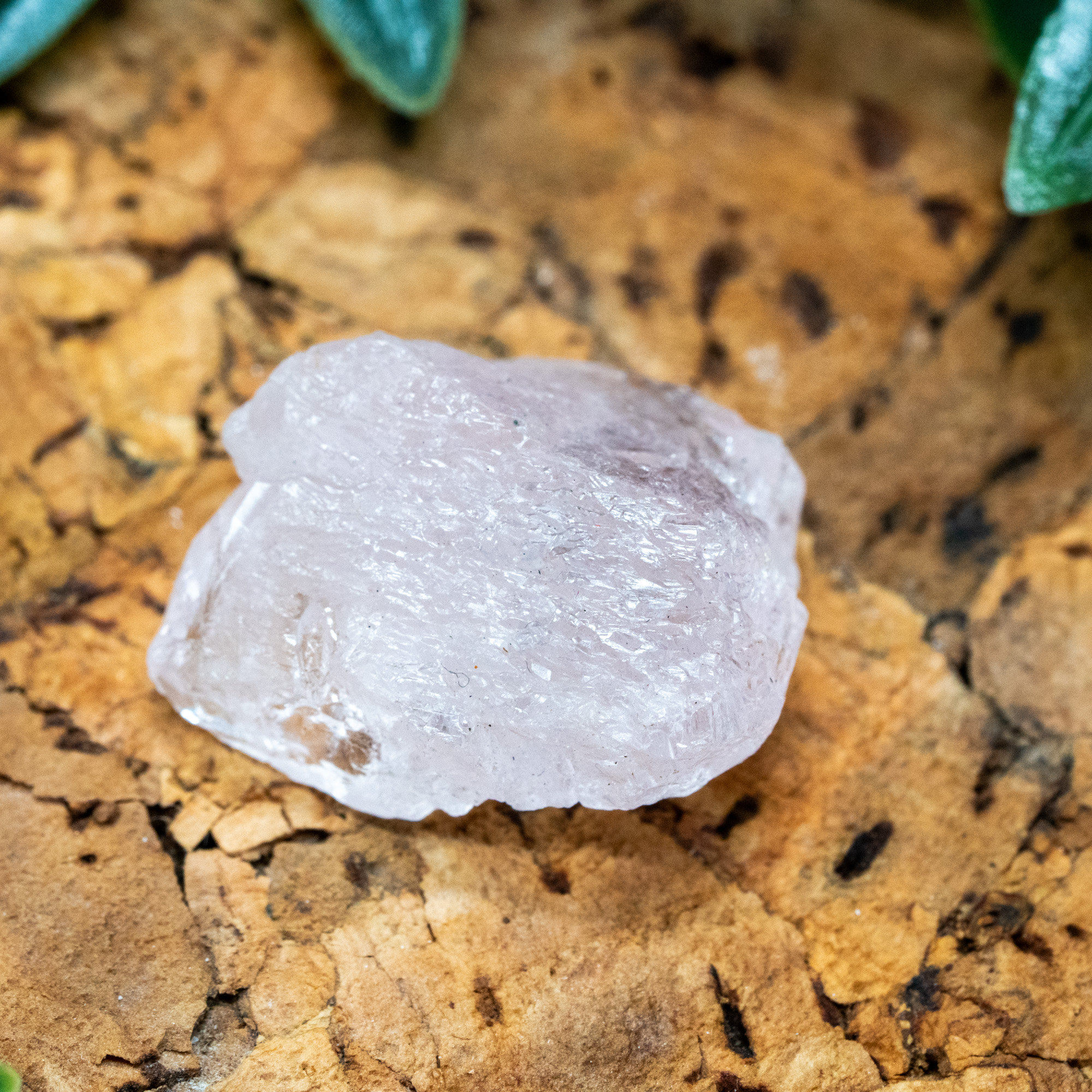 Morganite #1 - The Crystal Council