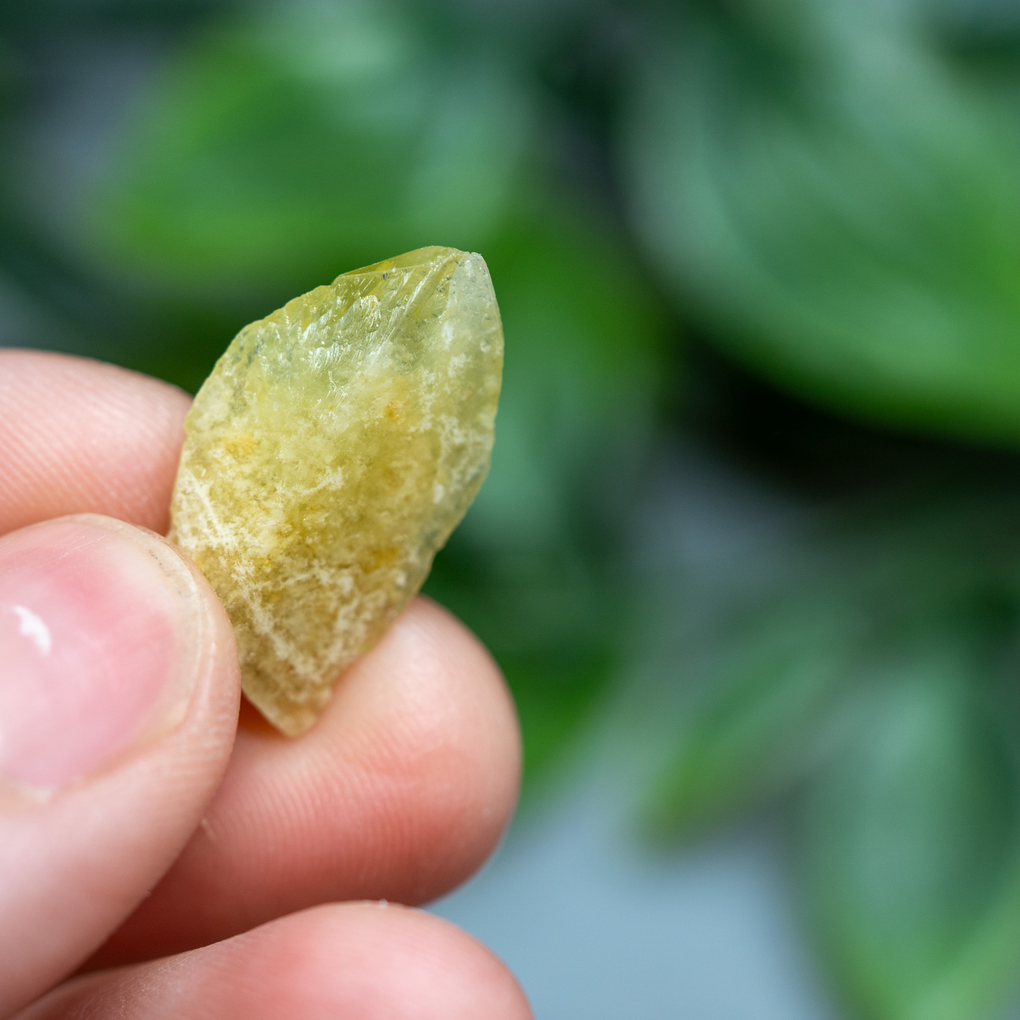 Brazilianite #3 - The Crystal Council