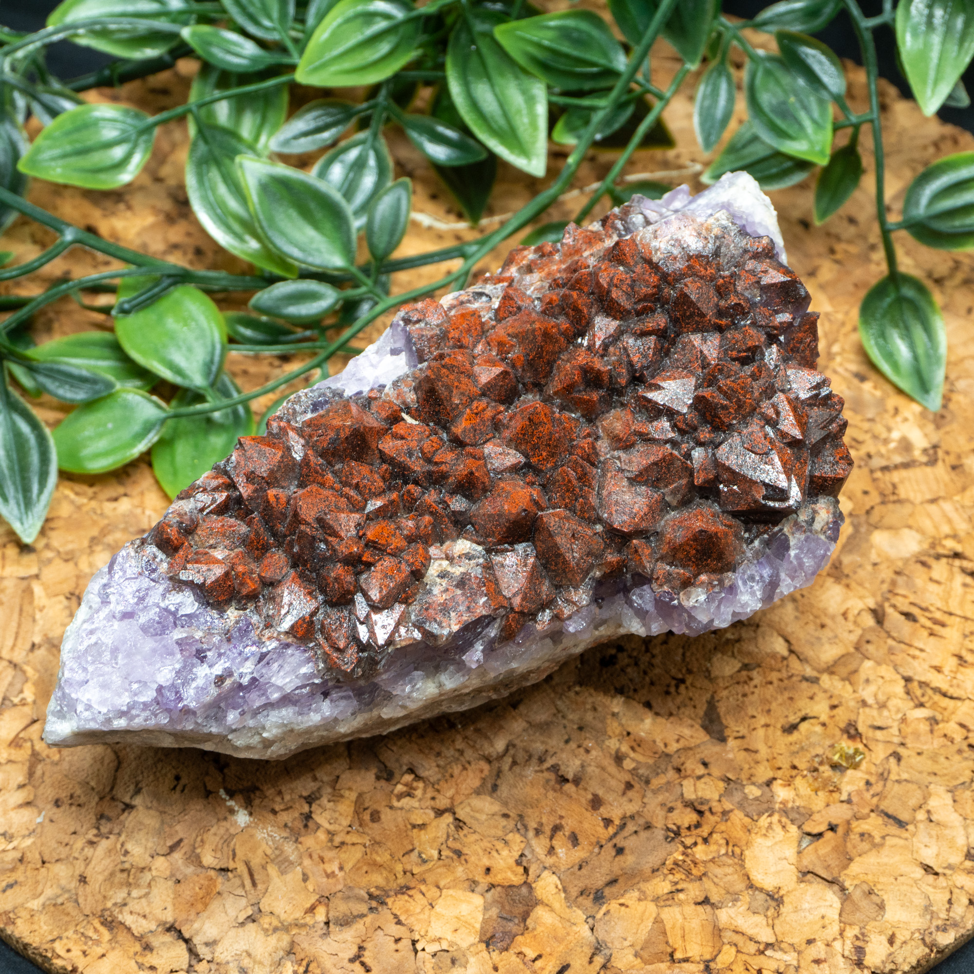 Auralite-23 #9 - The Crystal Council