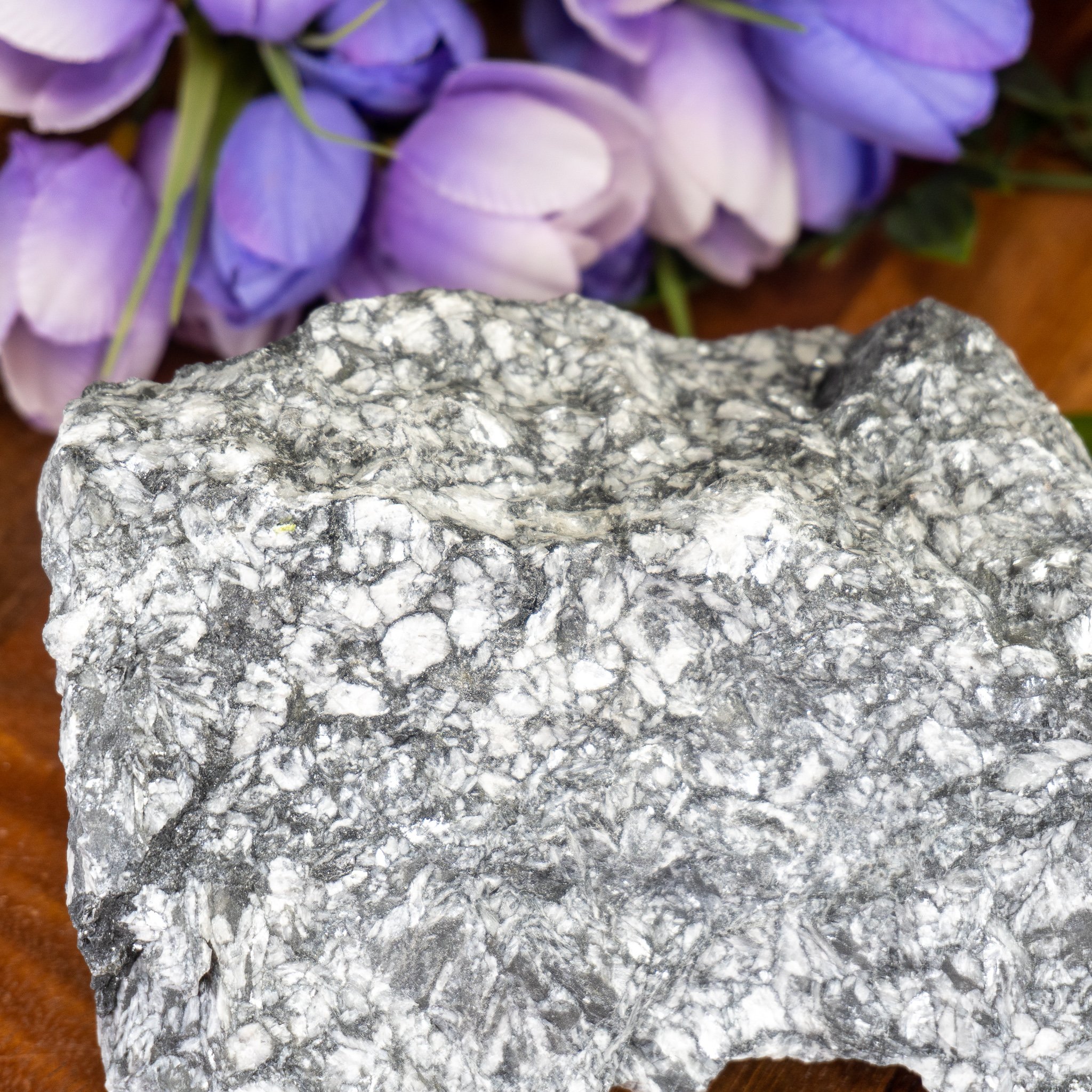 Large Raw Pinolith #1 - The Crystal Council