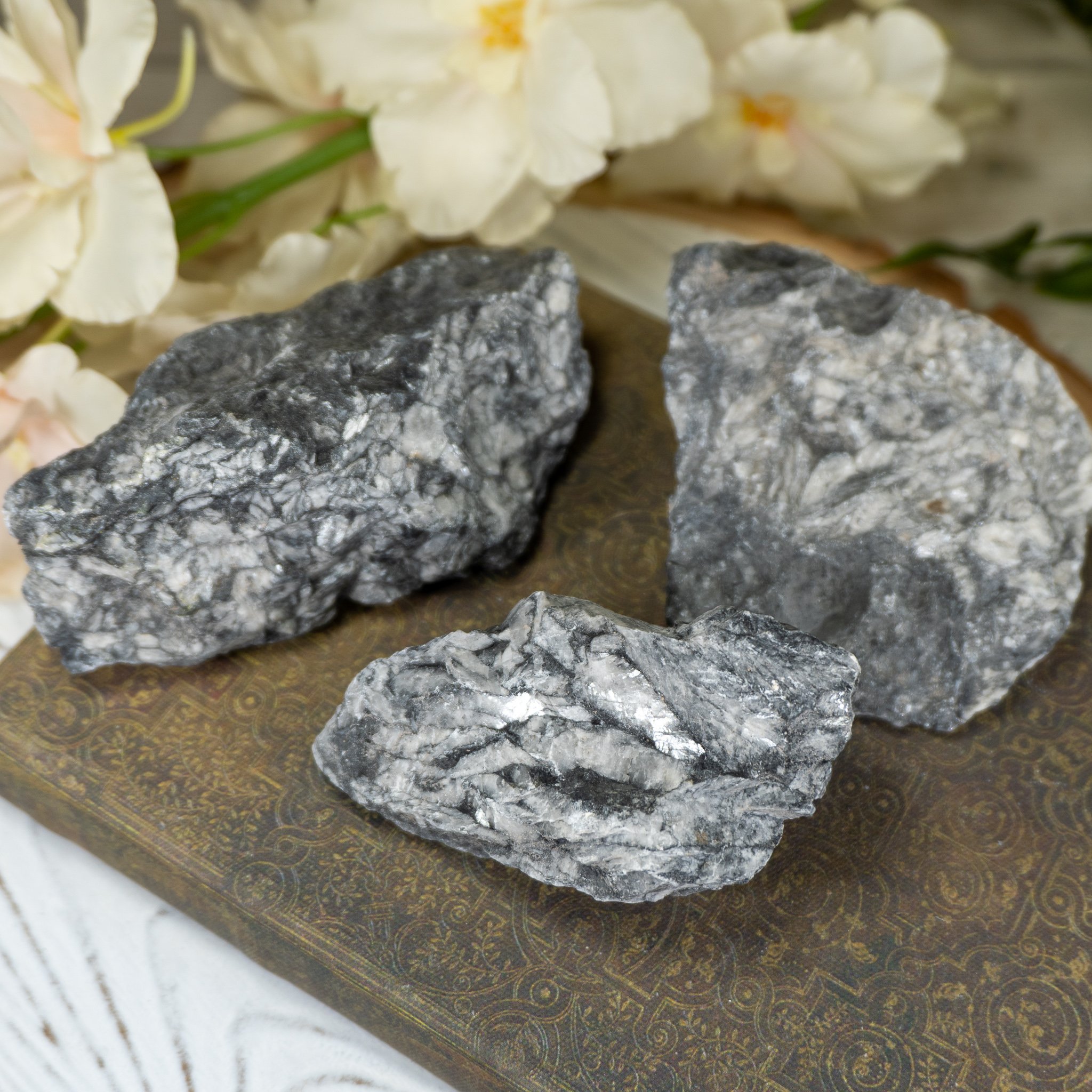 Medium Raw Pinolith - Random - The Crystal Council