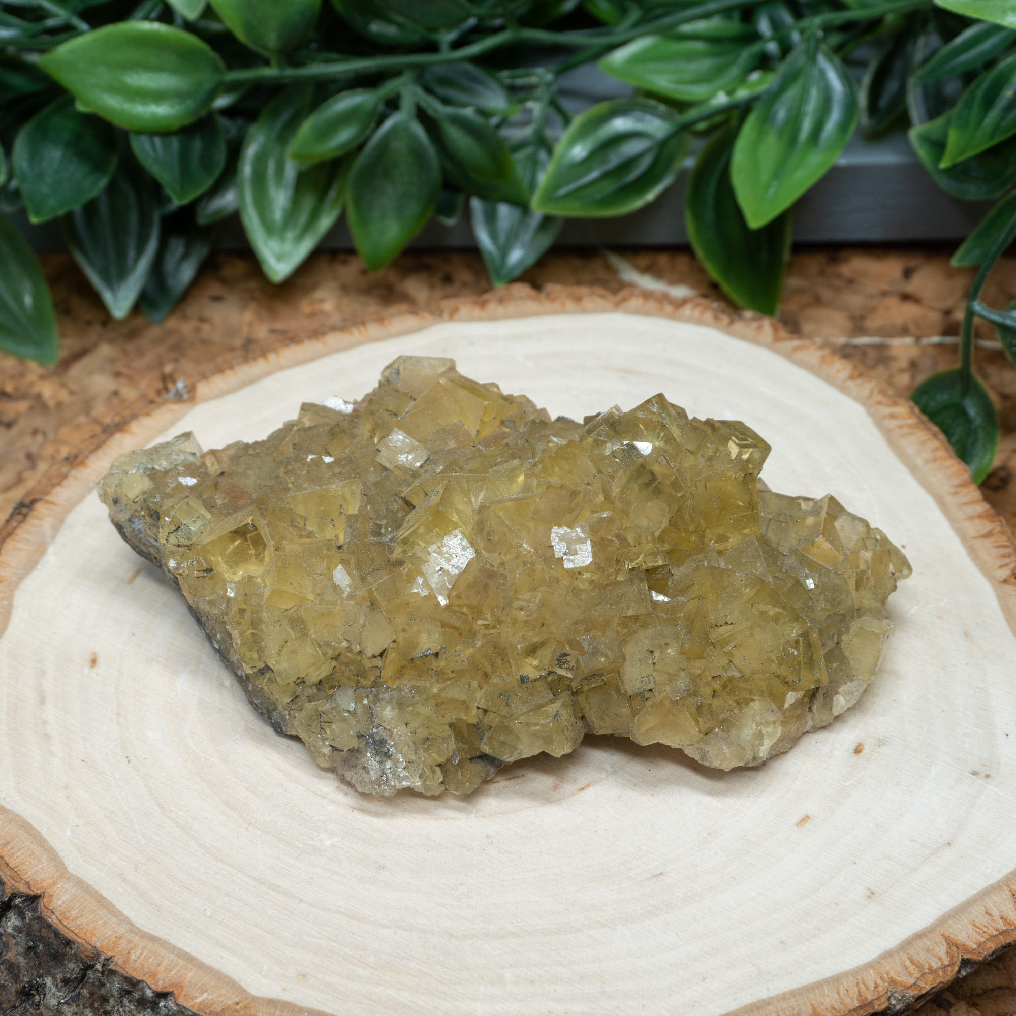 Raw Yellow Fluorite #1 - The Crystal Council