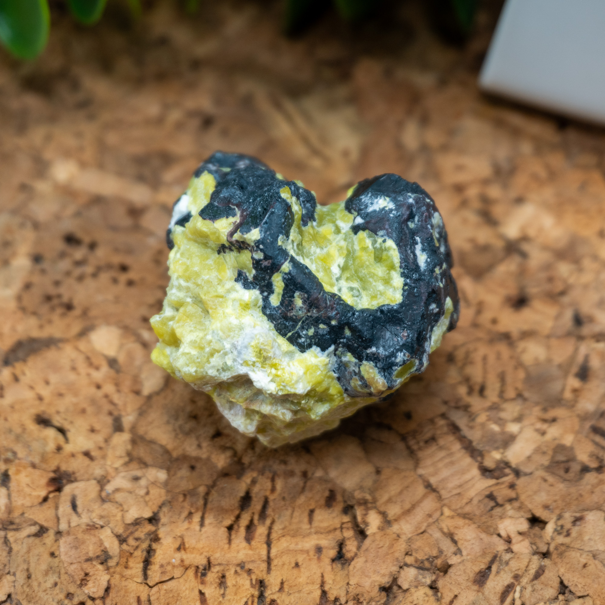 Raw Lizardite with Hematite #2 - The Crystal Council