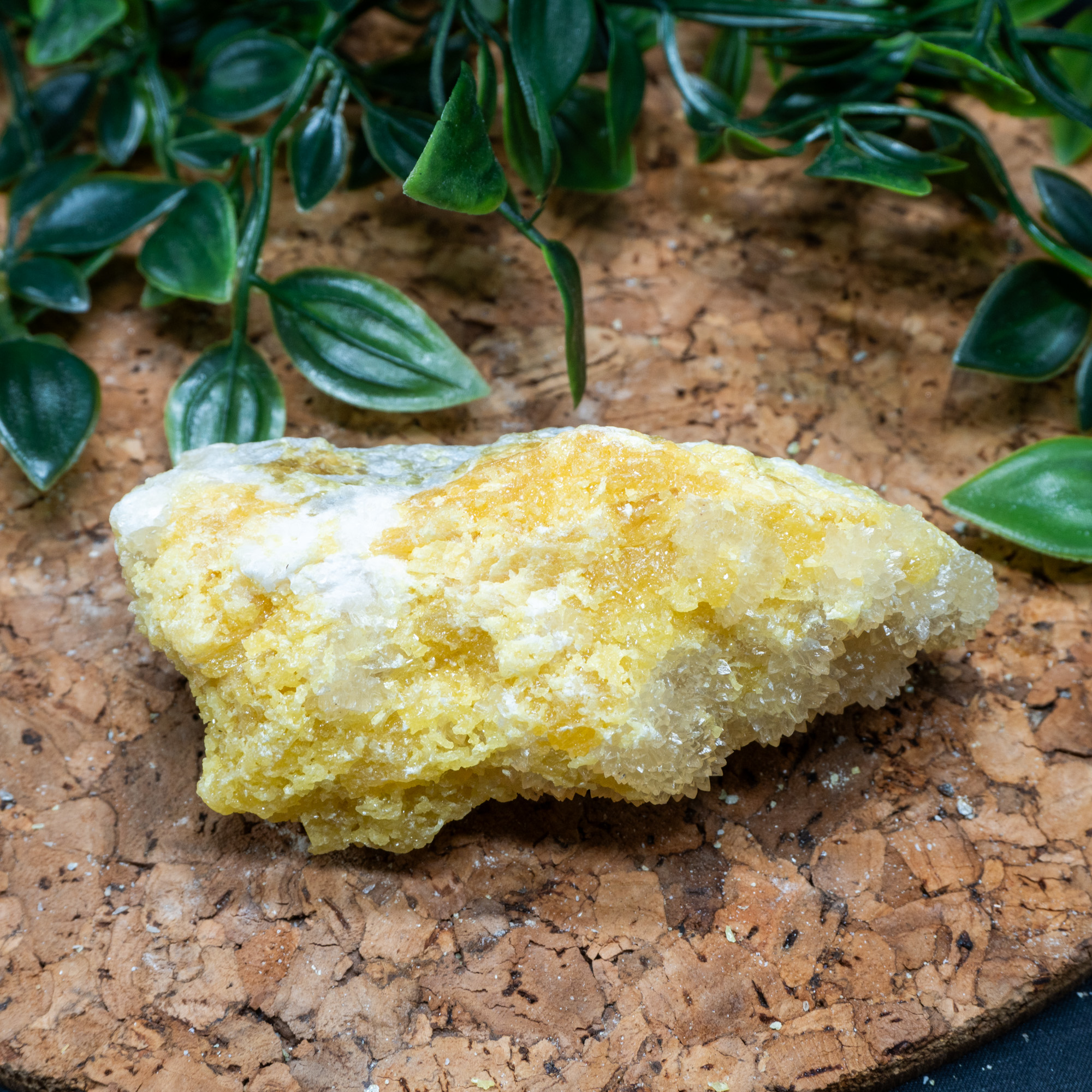 Yellow Sulfur #4 - The Crystal Council