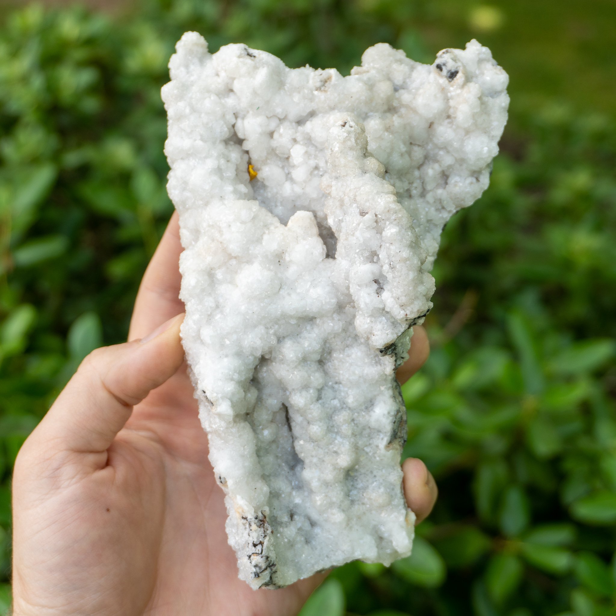 Coral "Cave" Calcite #1 - The Crystal Council