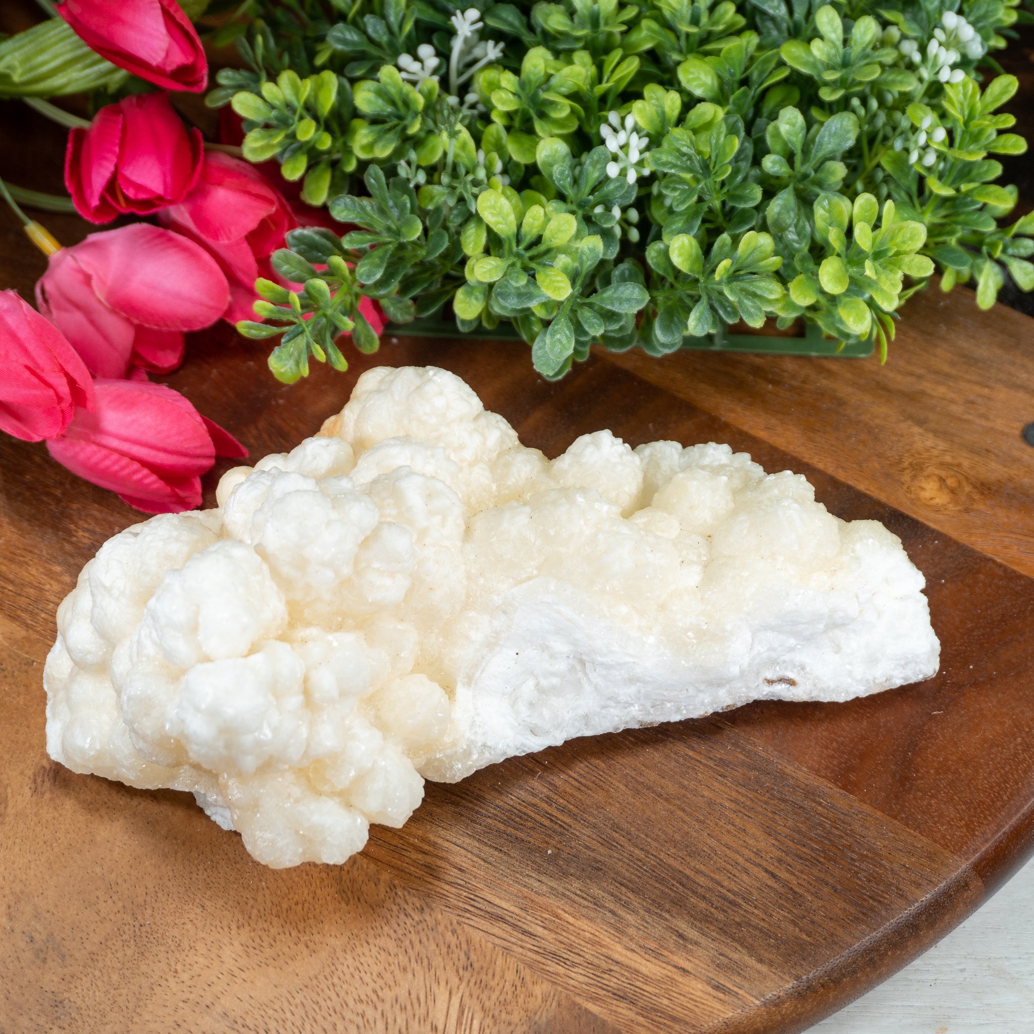 Coral "Cave" Calcite #3 - The Crystal Council