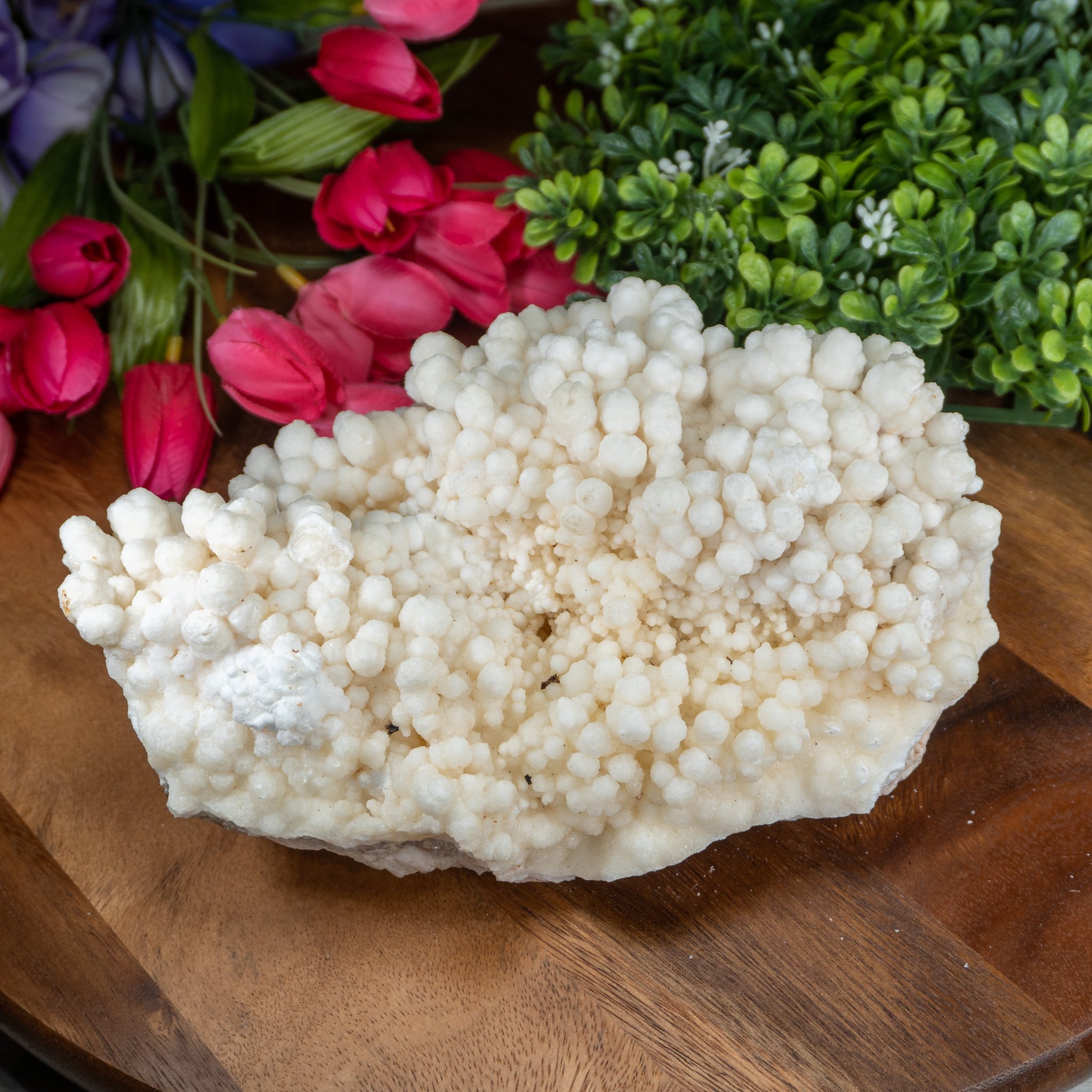 Coral "Cave" Cloud Calcite #4 - The Crystal Council