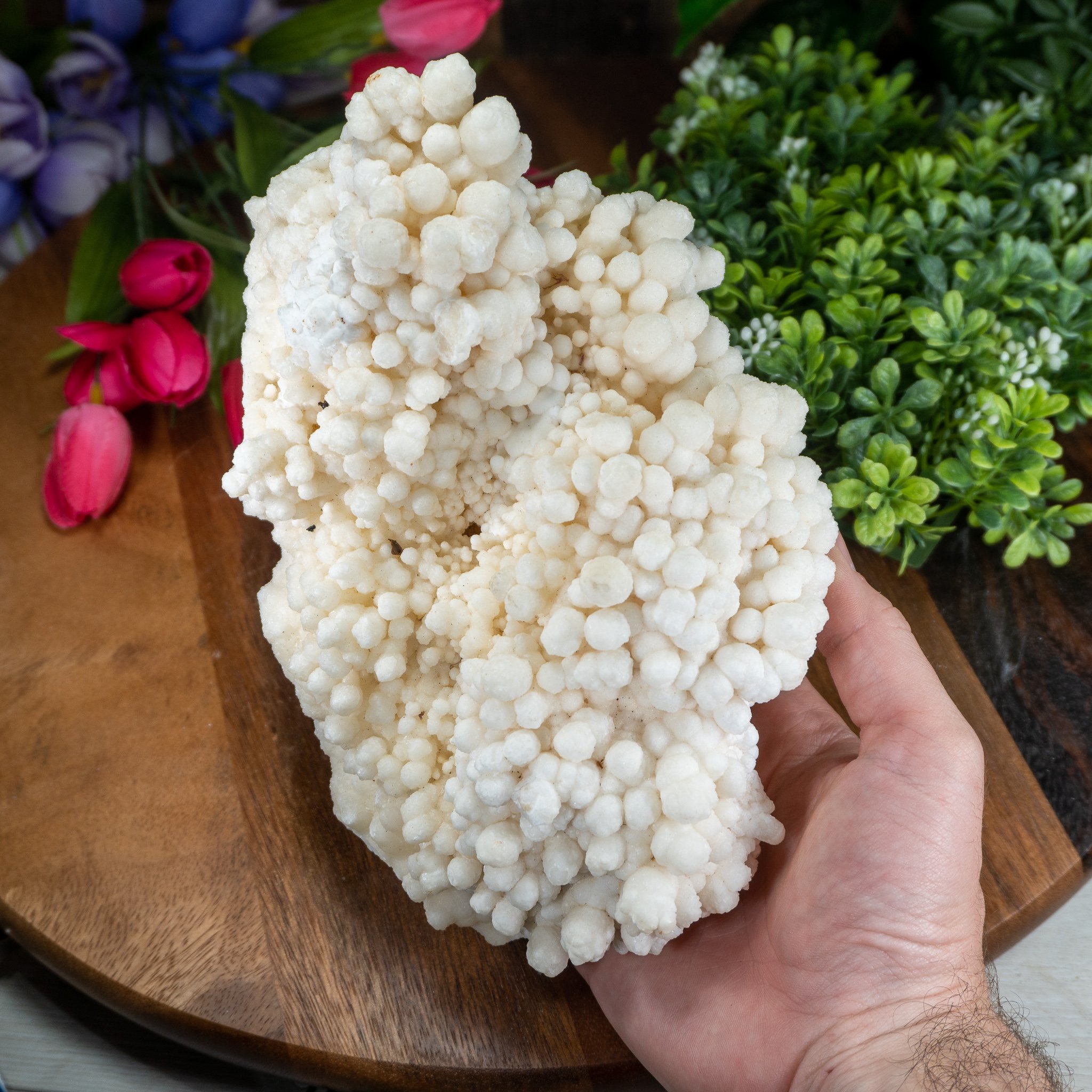 Coral "Cave" Cloud Calcite #4 - The Crystal Council