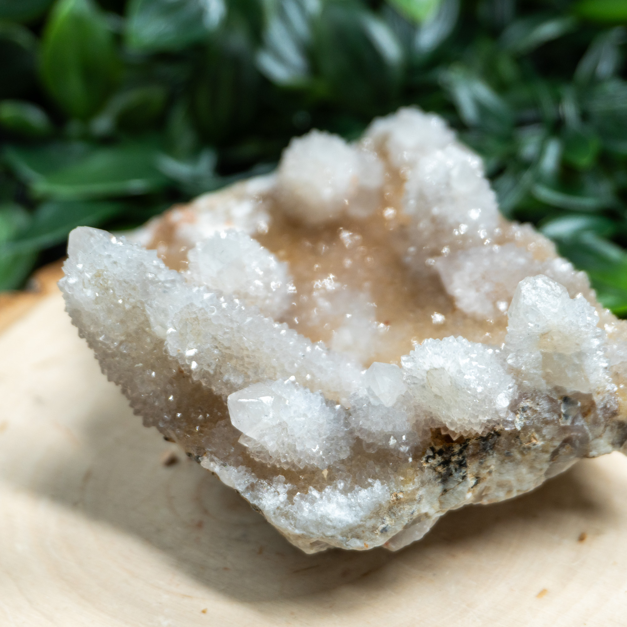 Spirit Quartz #4 - The Crystal Council