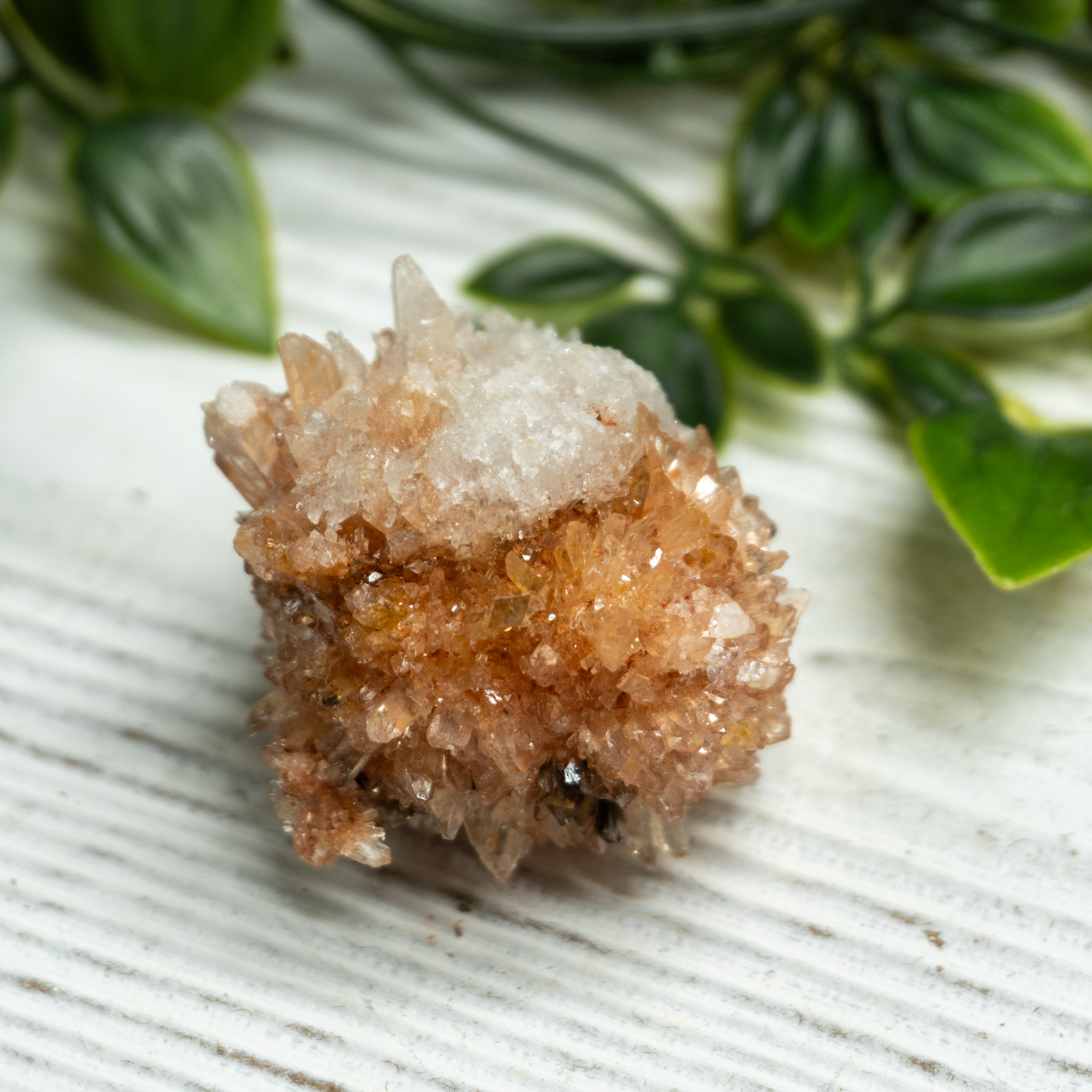 Creedite #1 - The Crystal Council