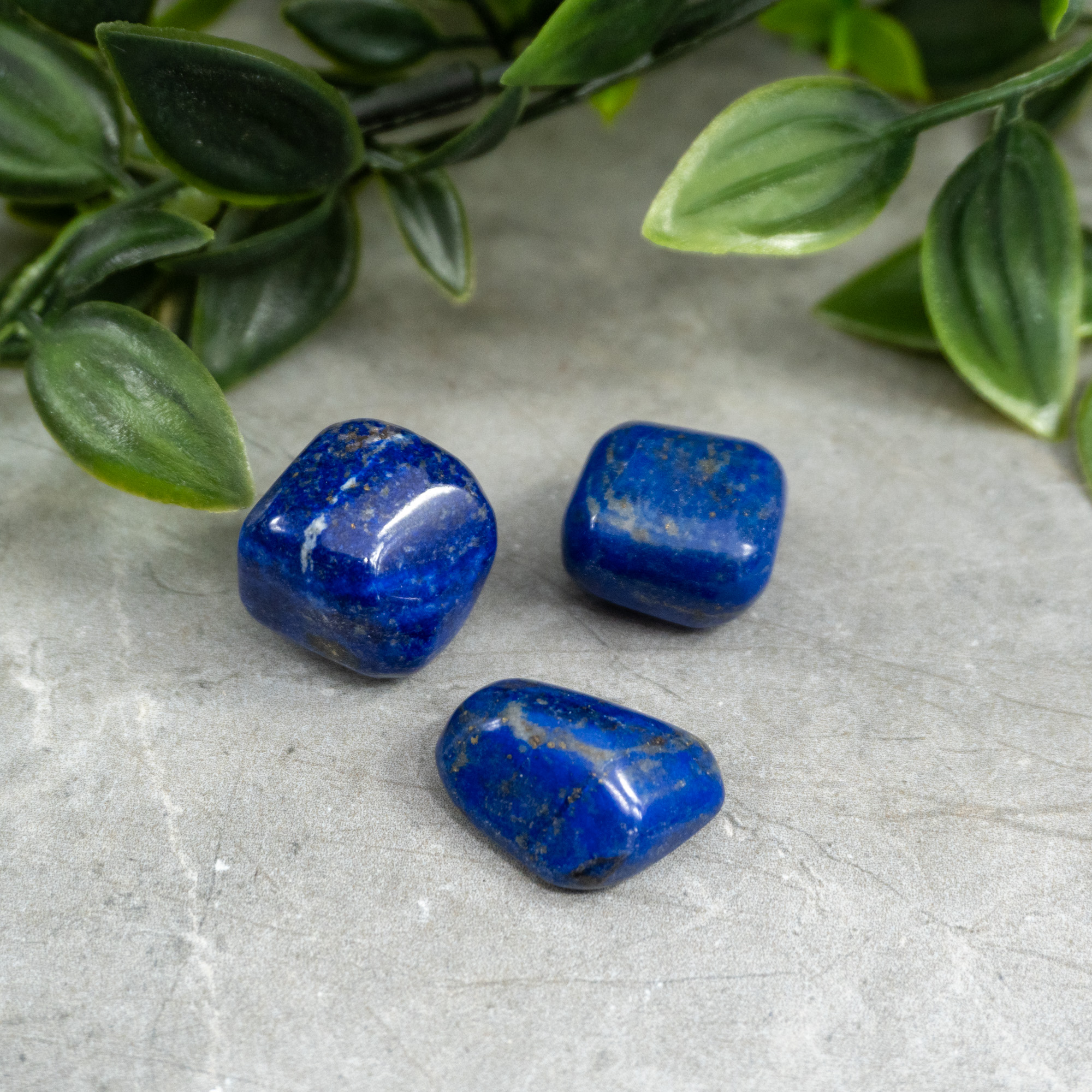 Small A+ Lapis Lazuli Tumbled - The Crystal Council