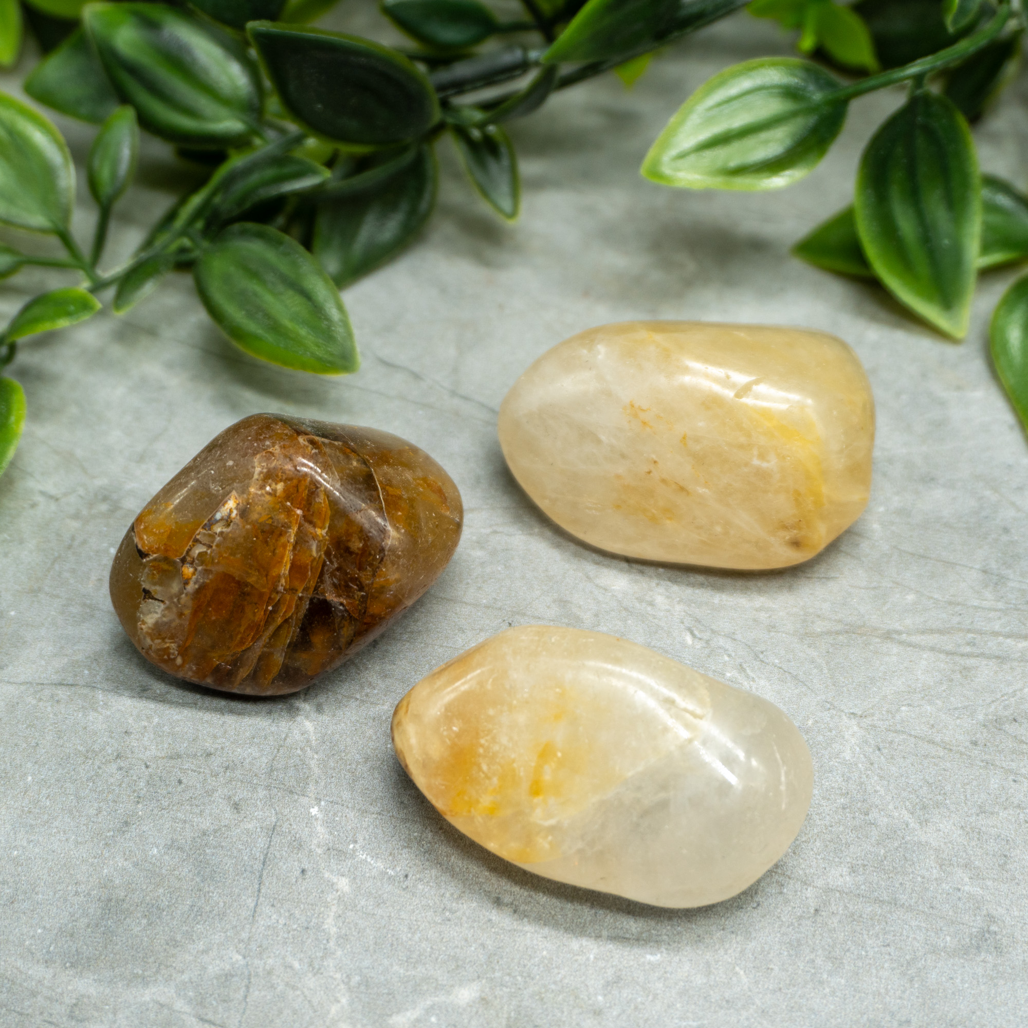 XL Golden Healer Quartz Tumbled - The Crystal Council