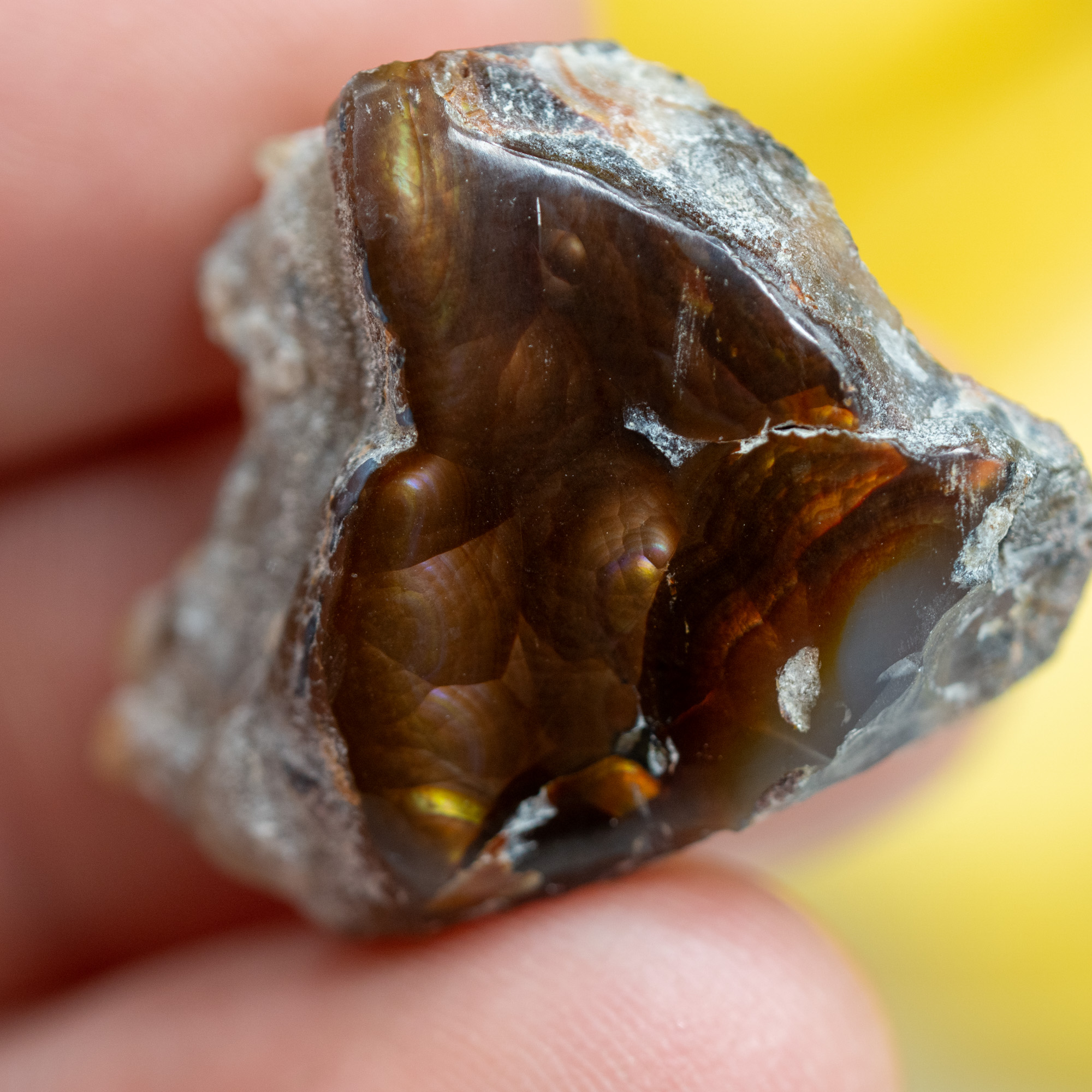 Fire Agate #2 - The Crystal Council