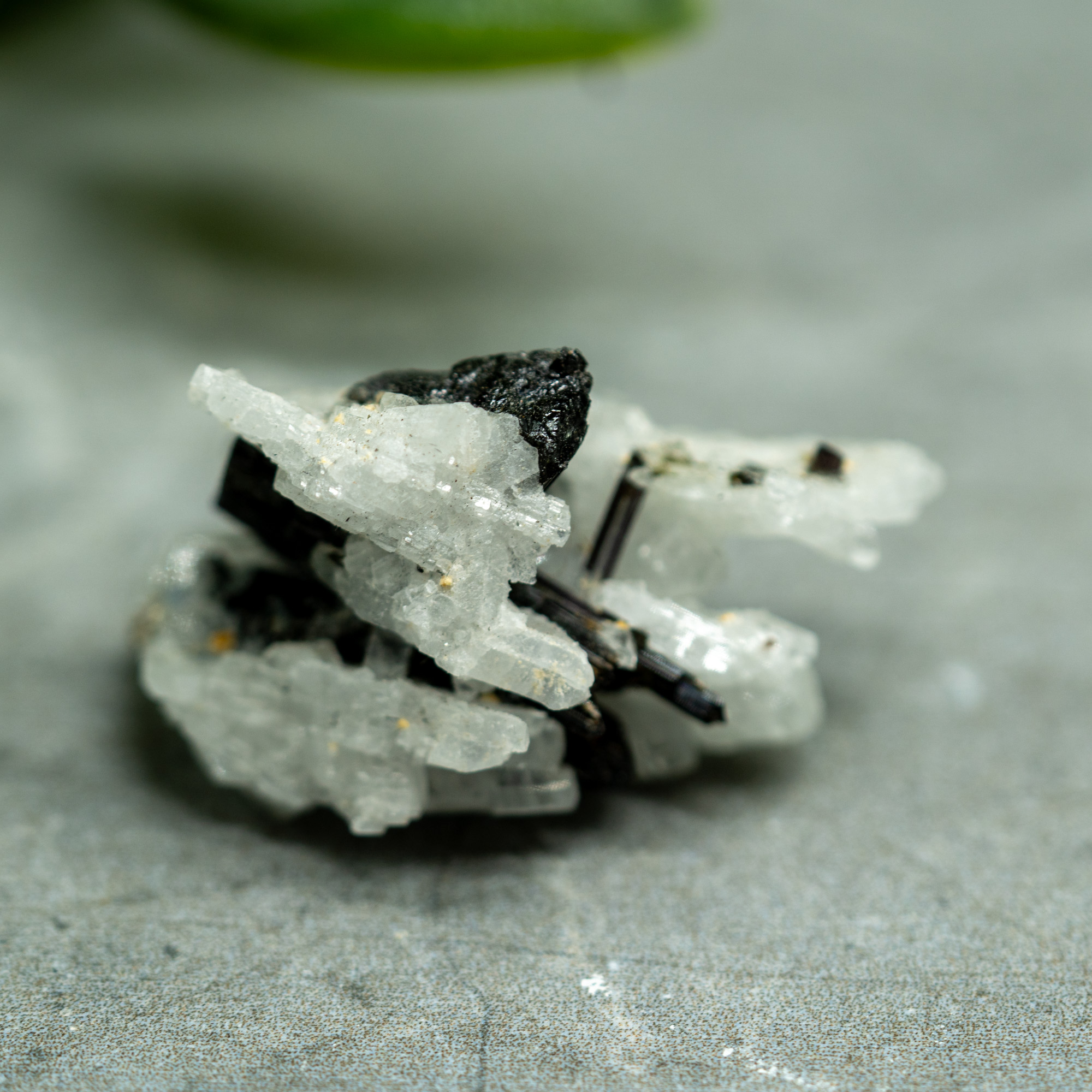 Tourmaline in Clevelandite #3 - The Crystal Council