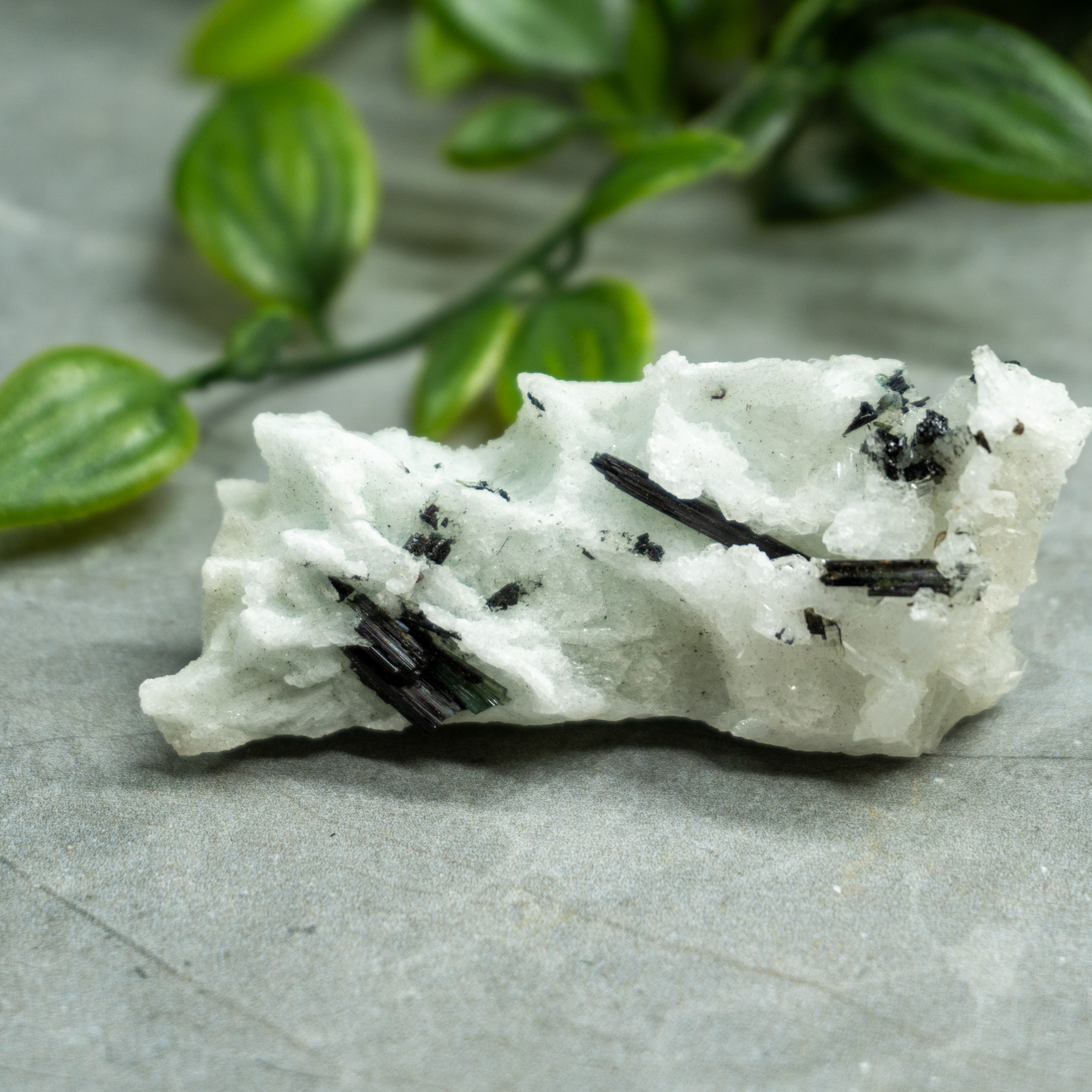 Tourmaline in Clevelandite #2 - The Crystal Council