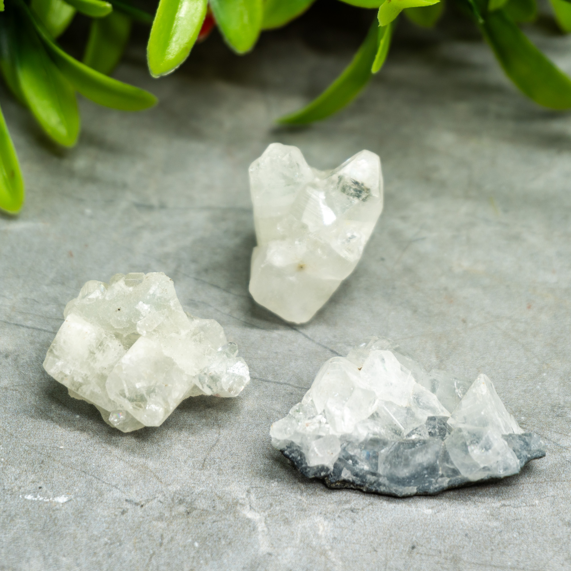 Small Random Apophyllite - The Crystal Council