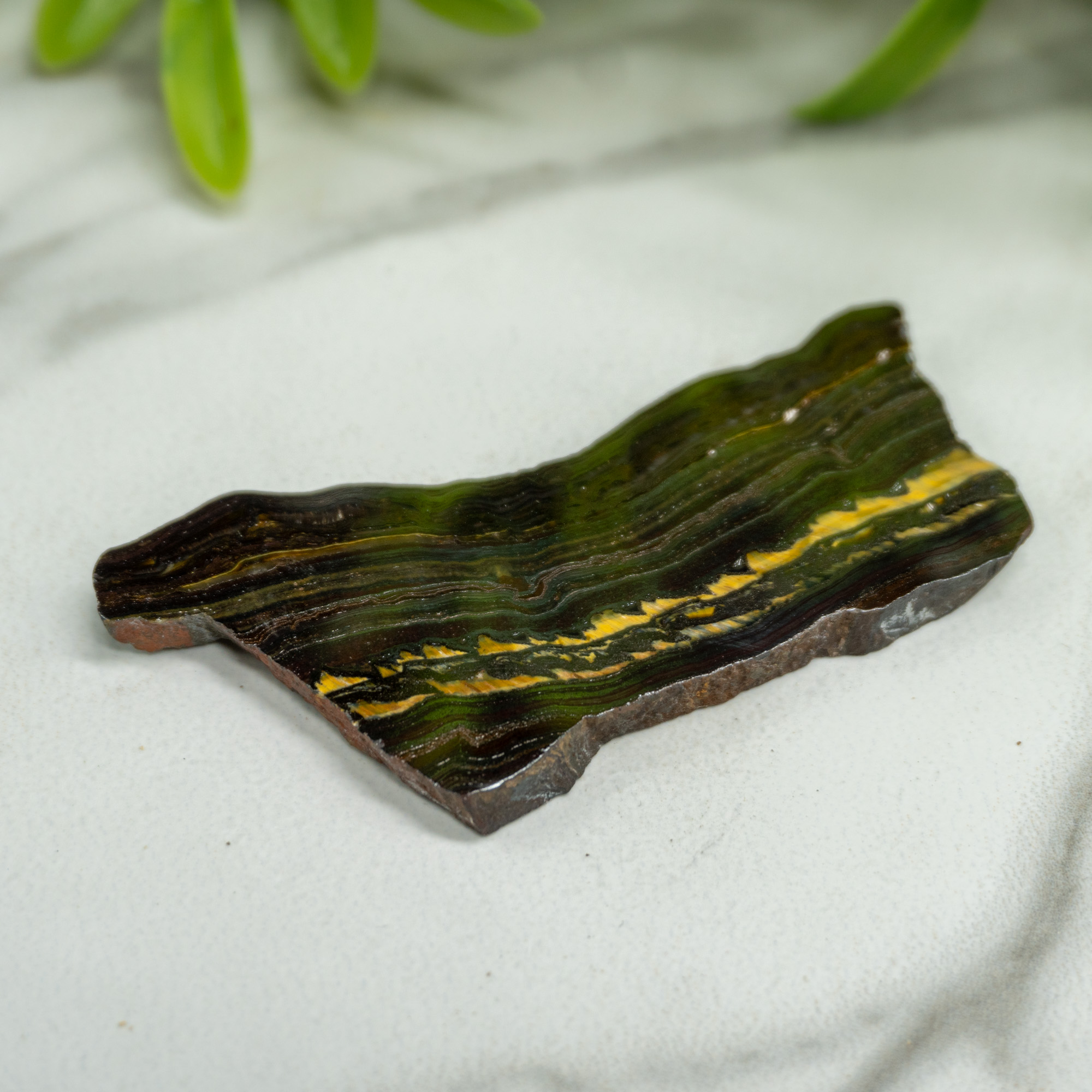 Tiger Iron Slab #1 - The Crystal Council