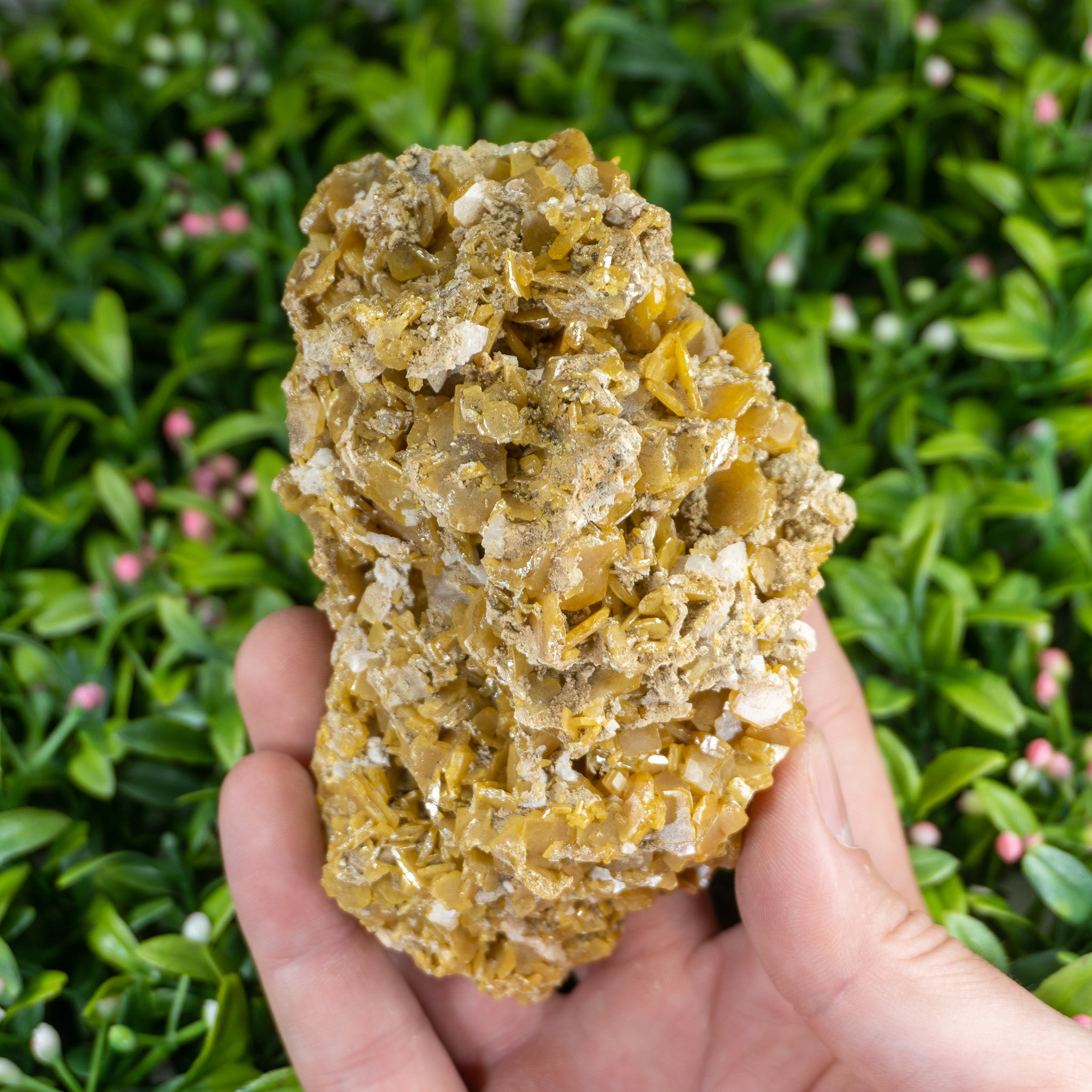 Wulfenite on Matrix #2 - The Crystal Council