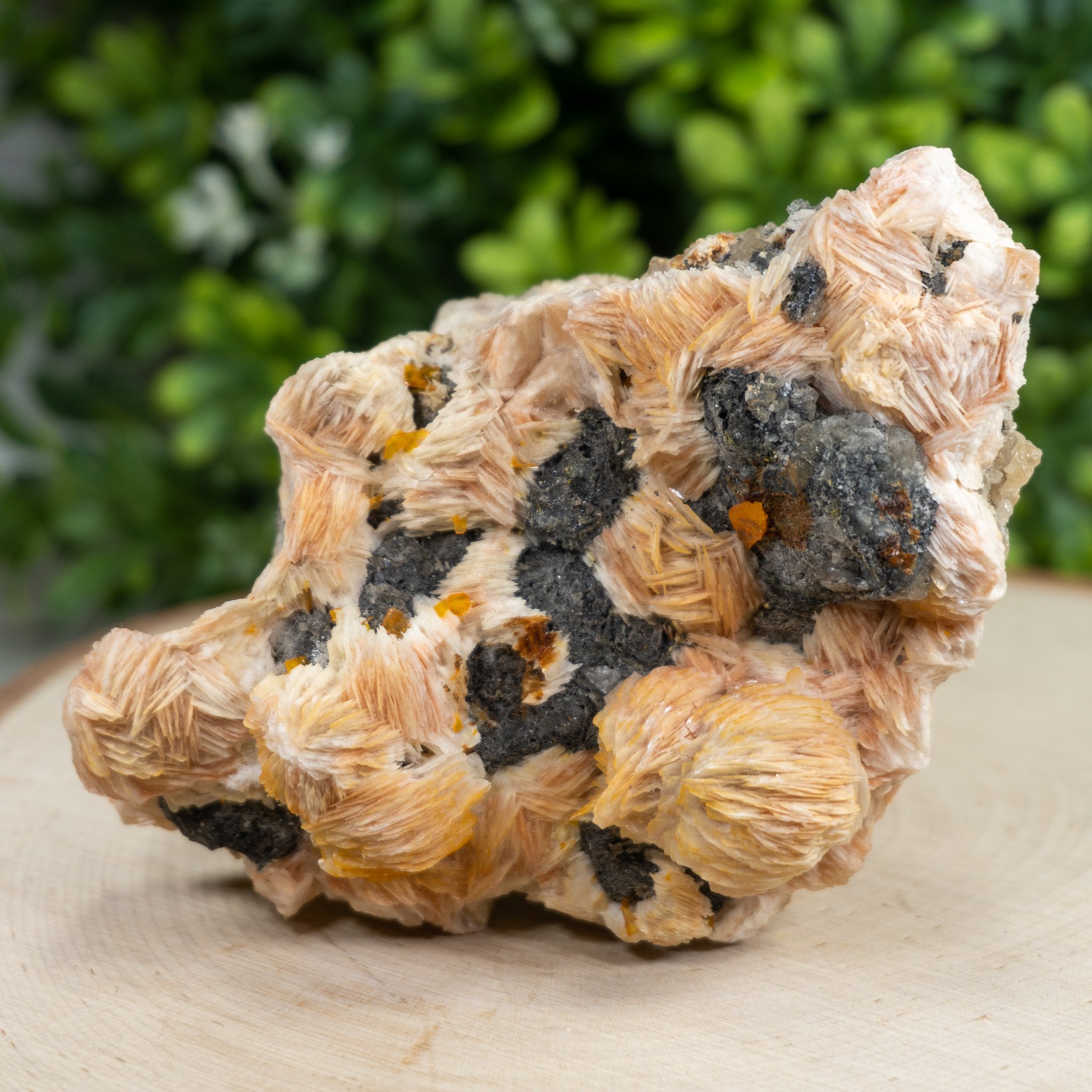 Wulfenite over Barite - The Crystal Council