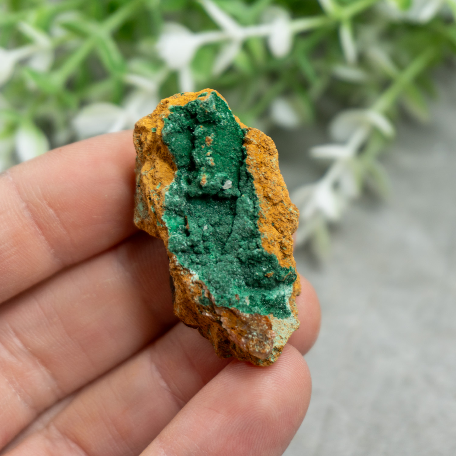 Raw Moroccan Malachite #14 - The Crystal Council