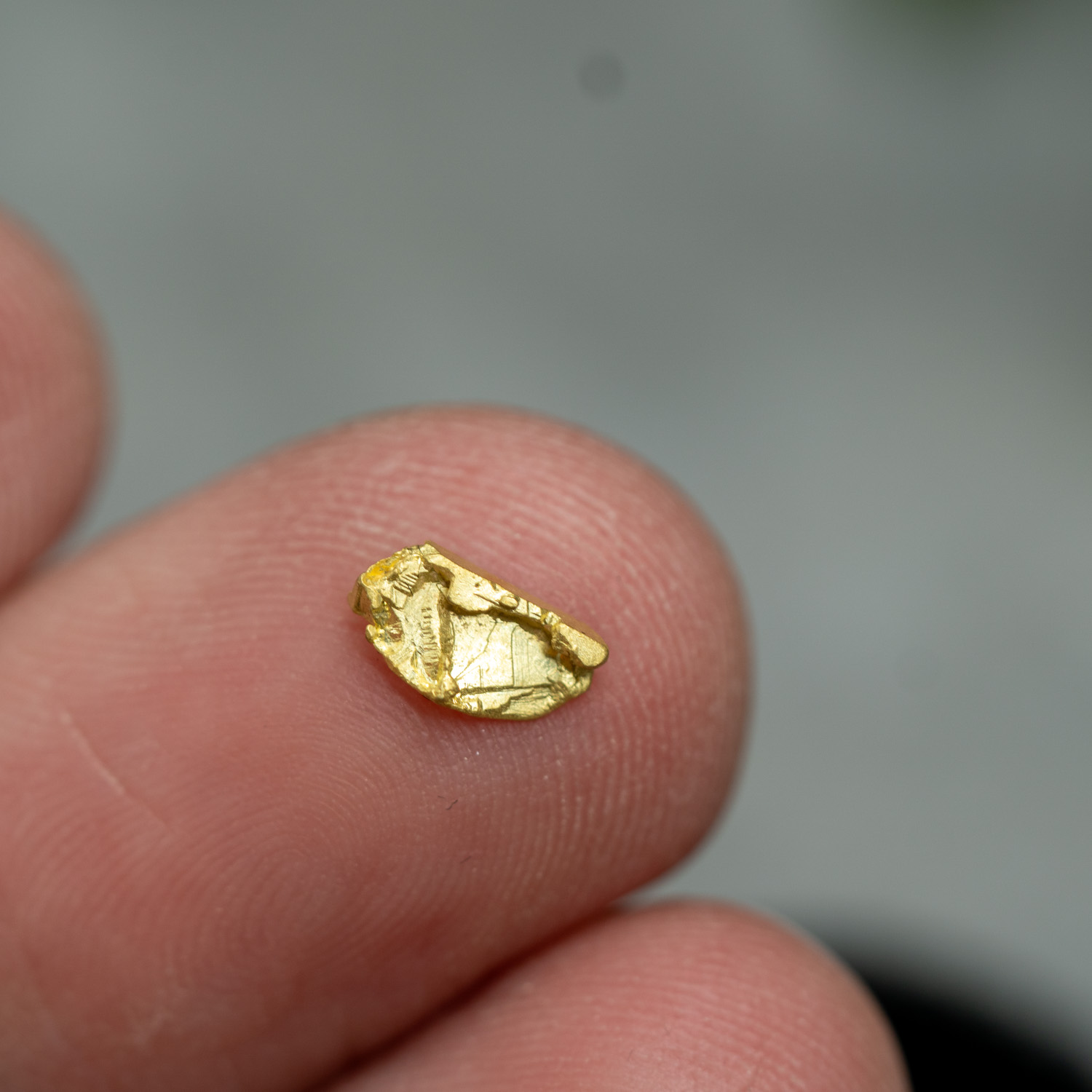 Raw Gold #1 - The Crystal Council