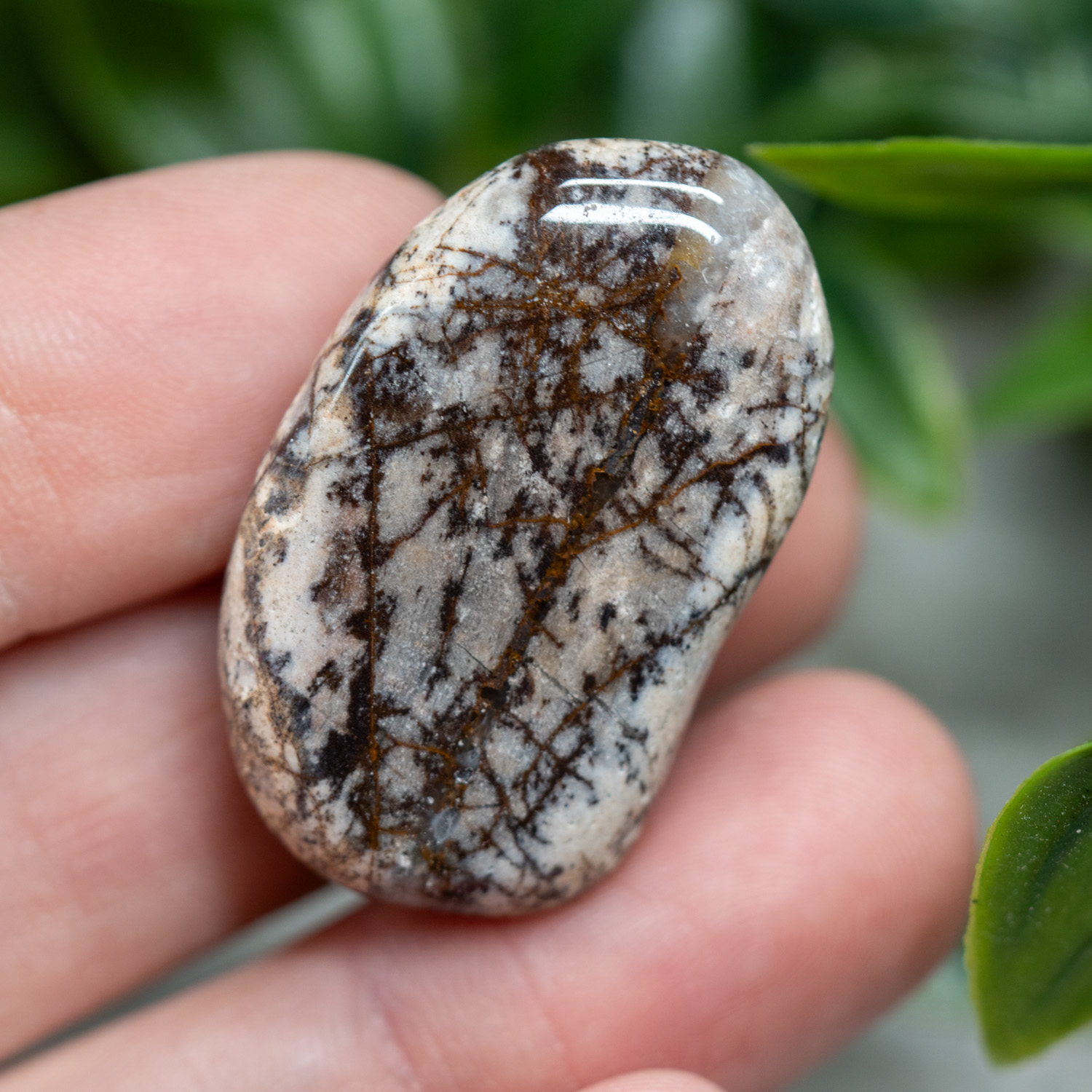 Outback Jasper Tumbled #1 - The Crystal Council