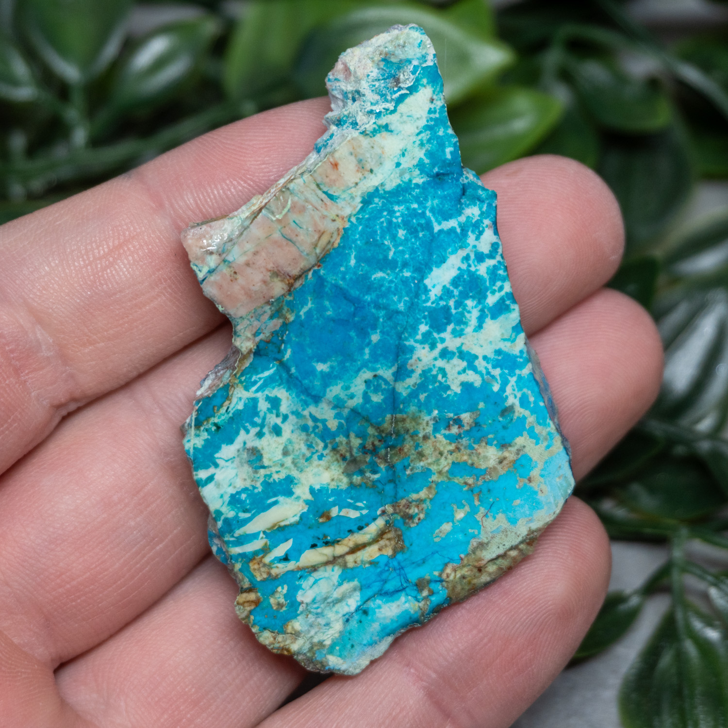 Chrysocolla Slab #9 - The Crystal Council