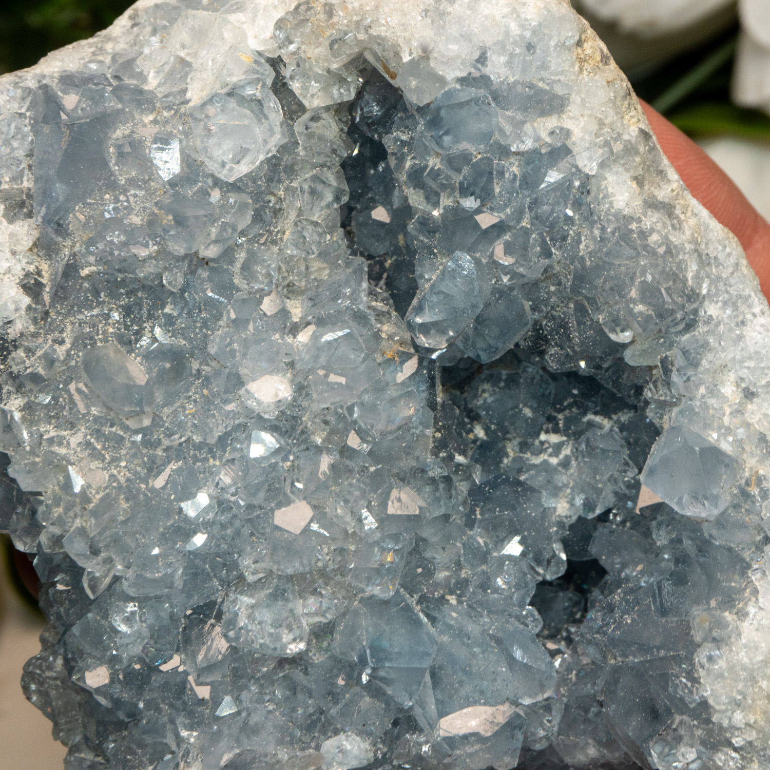 Celestite #11 - The Crystal Council
