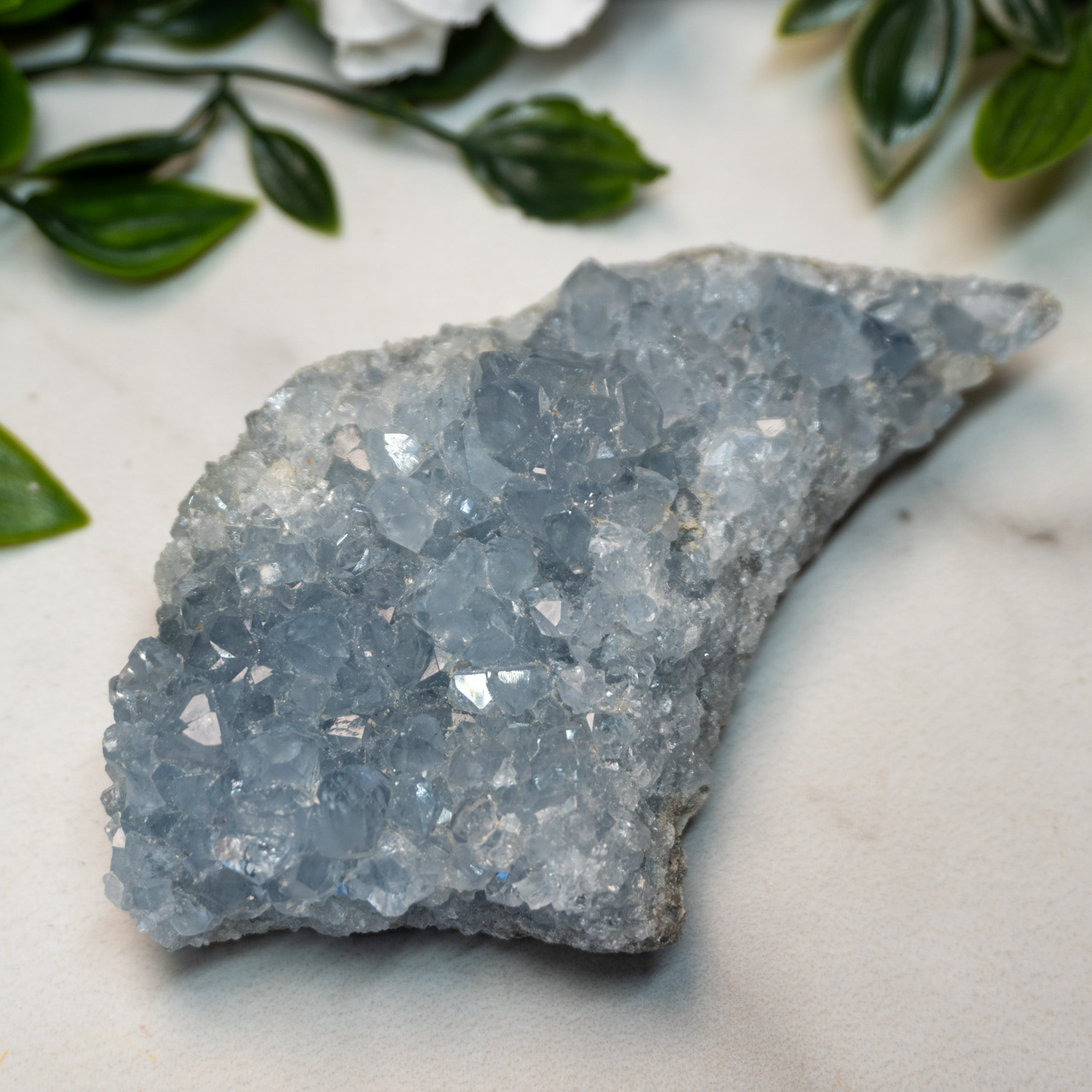 Celestite #5 - The Crystal Council