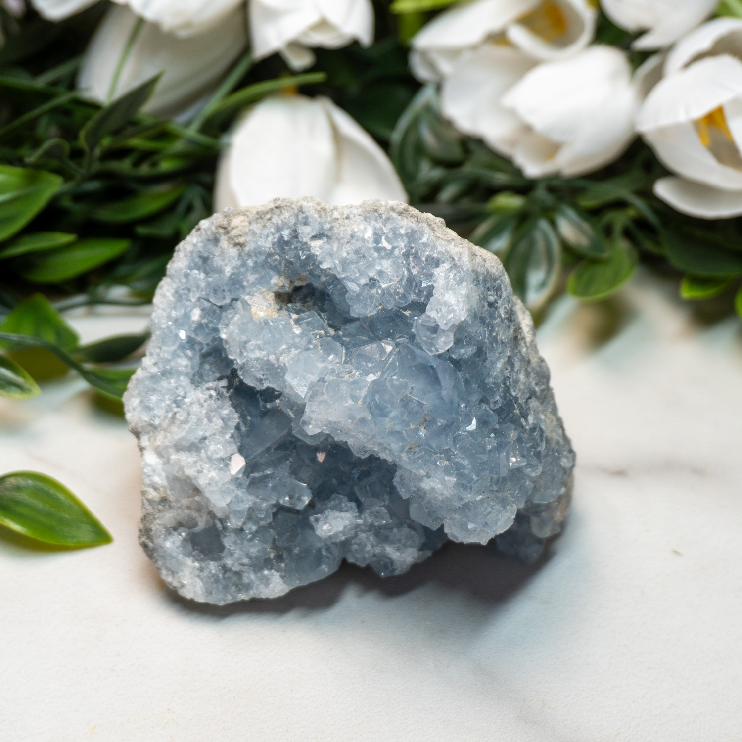 Celestite #3 - The Crystal Council