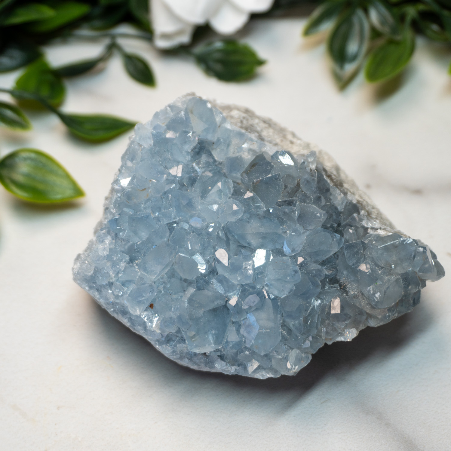 Celestite #2 - The Crystal Council