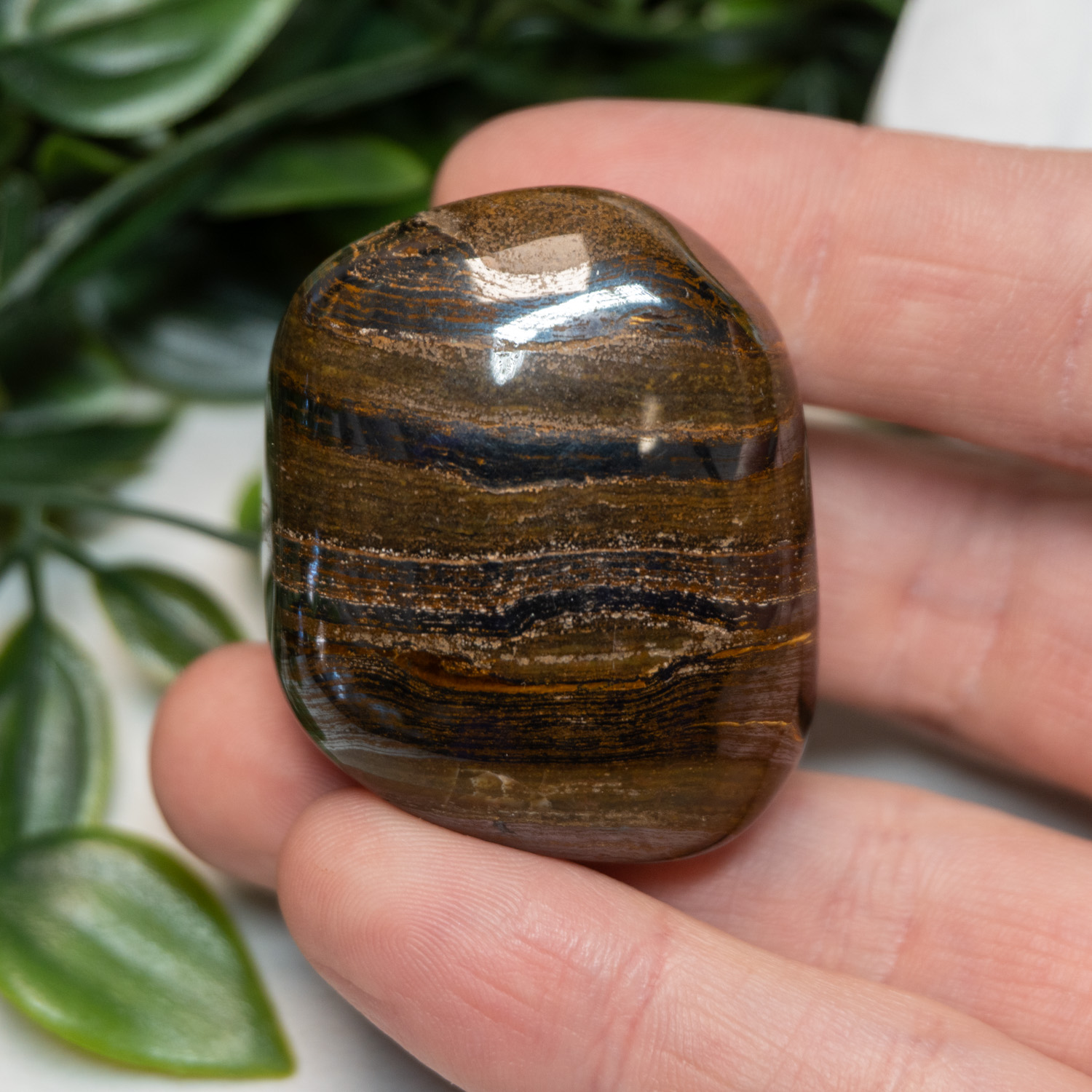 Polished Tiger Iron #1 - The Crystal Council