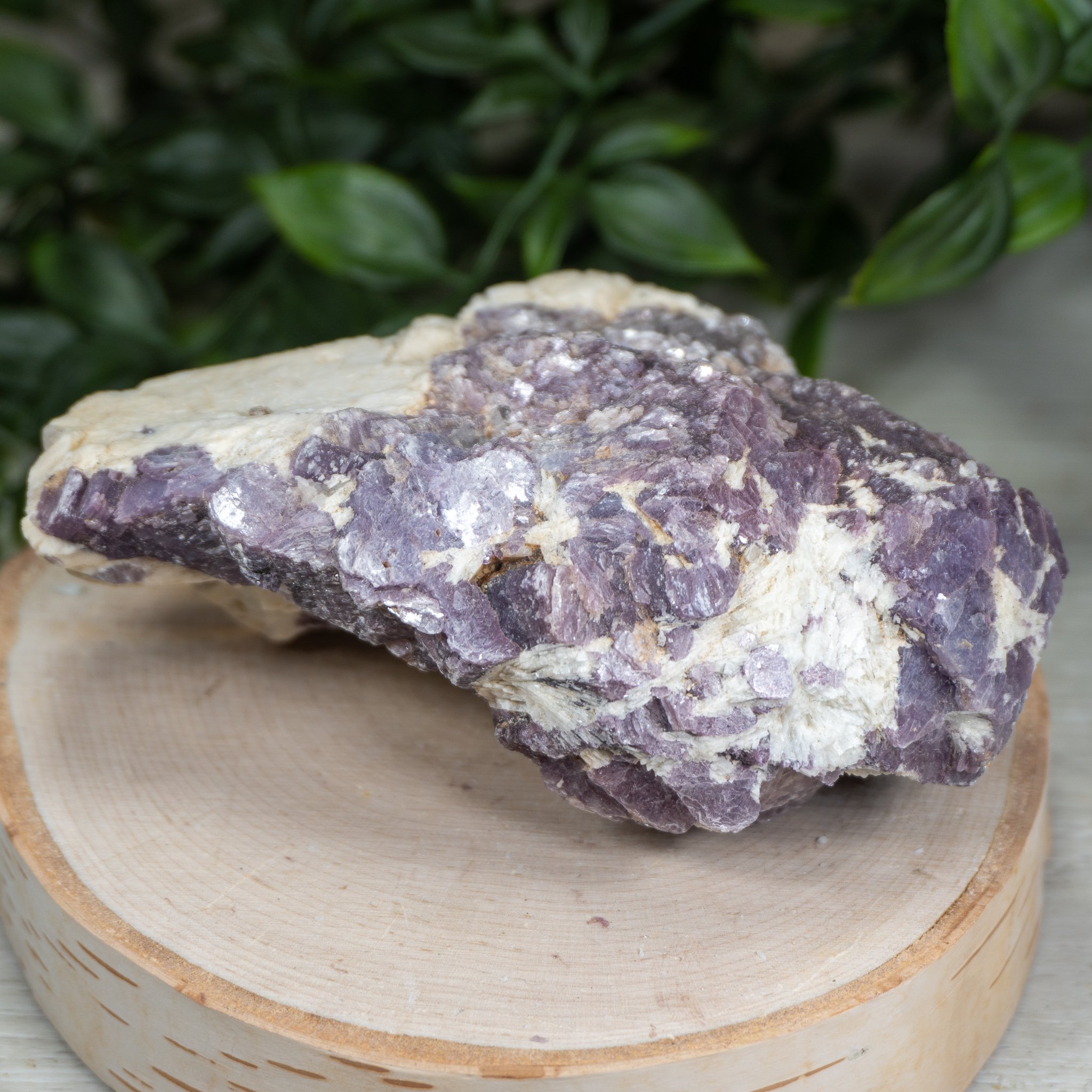 Large Raw Botryoidal Lepidolite on Quartz #1 - The Crystal Council